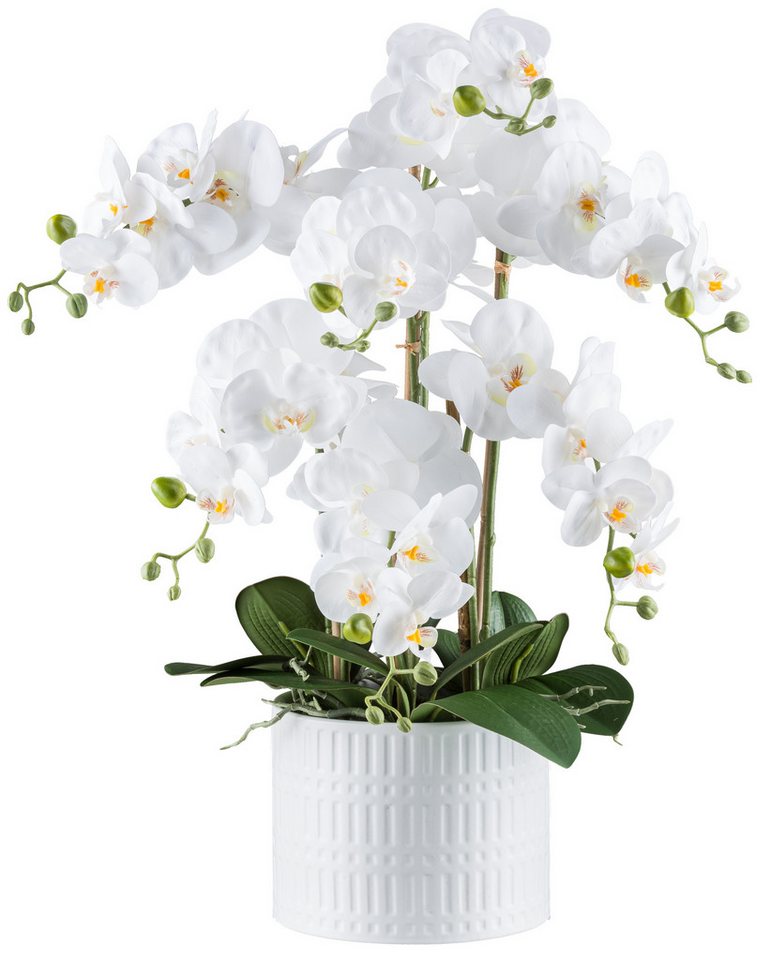 Kunstblume Orchidee Mit Weissen Blüten Im Keramiktopf Weiß 195 X