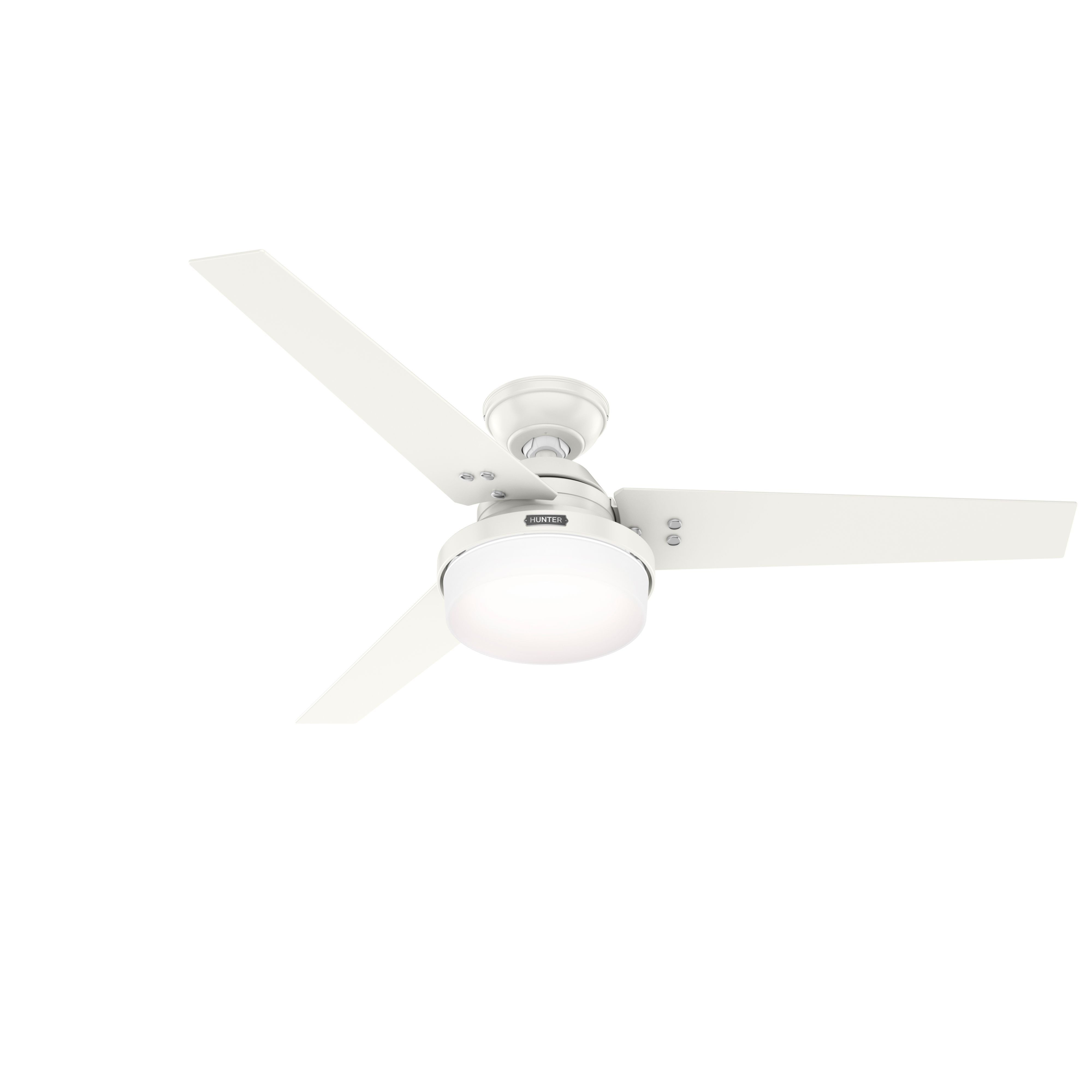 Hunter Deckenventilator Deckenventilator Sentinel Plus mit Licht & Wandschalter