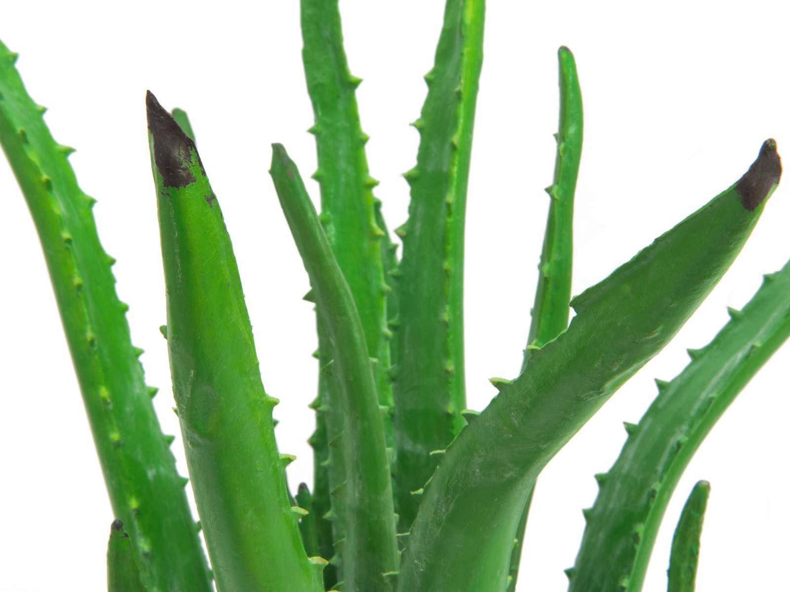 Kunstpflanze Deko Aloe Vera Pflanze, 16 Blätter, 65cm - Kunstpflanze ...