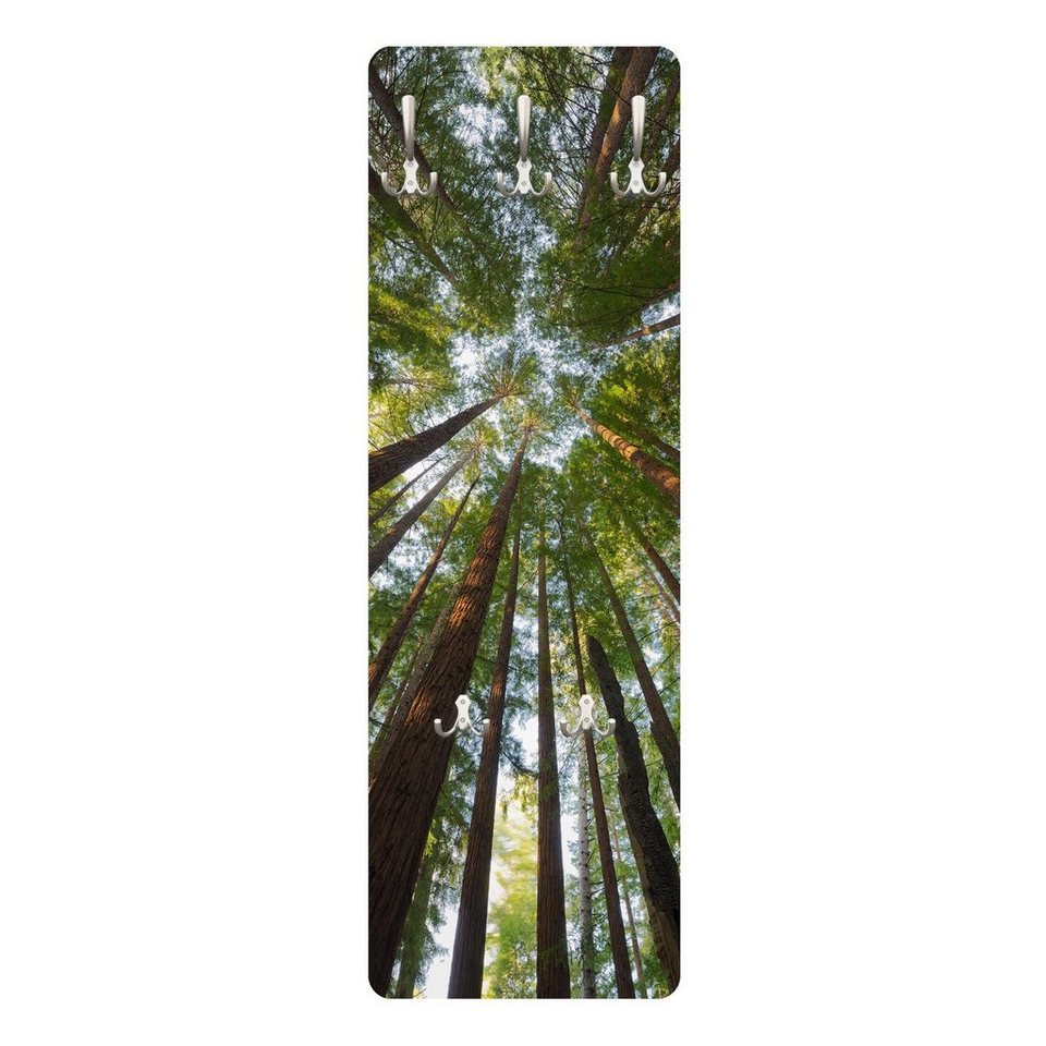 Bilderdepot24 Garderobenpaneel Grün Bäume Wald Natur 3d Optik