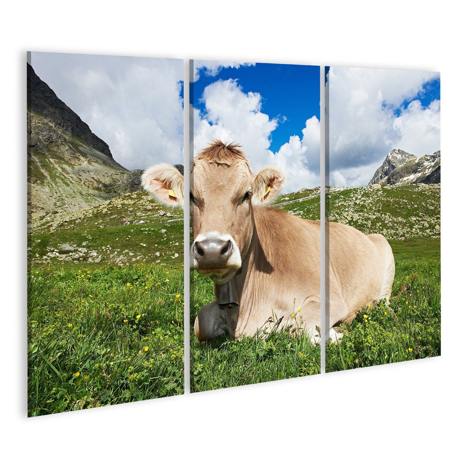 islandburner Leinwandbild Bild auf Leinwand Braune Kuh Auf Grüner Grasweide Wandbild Leinwandbi