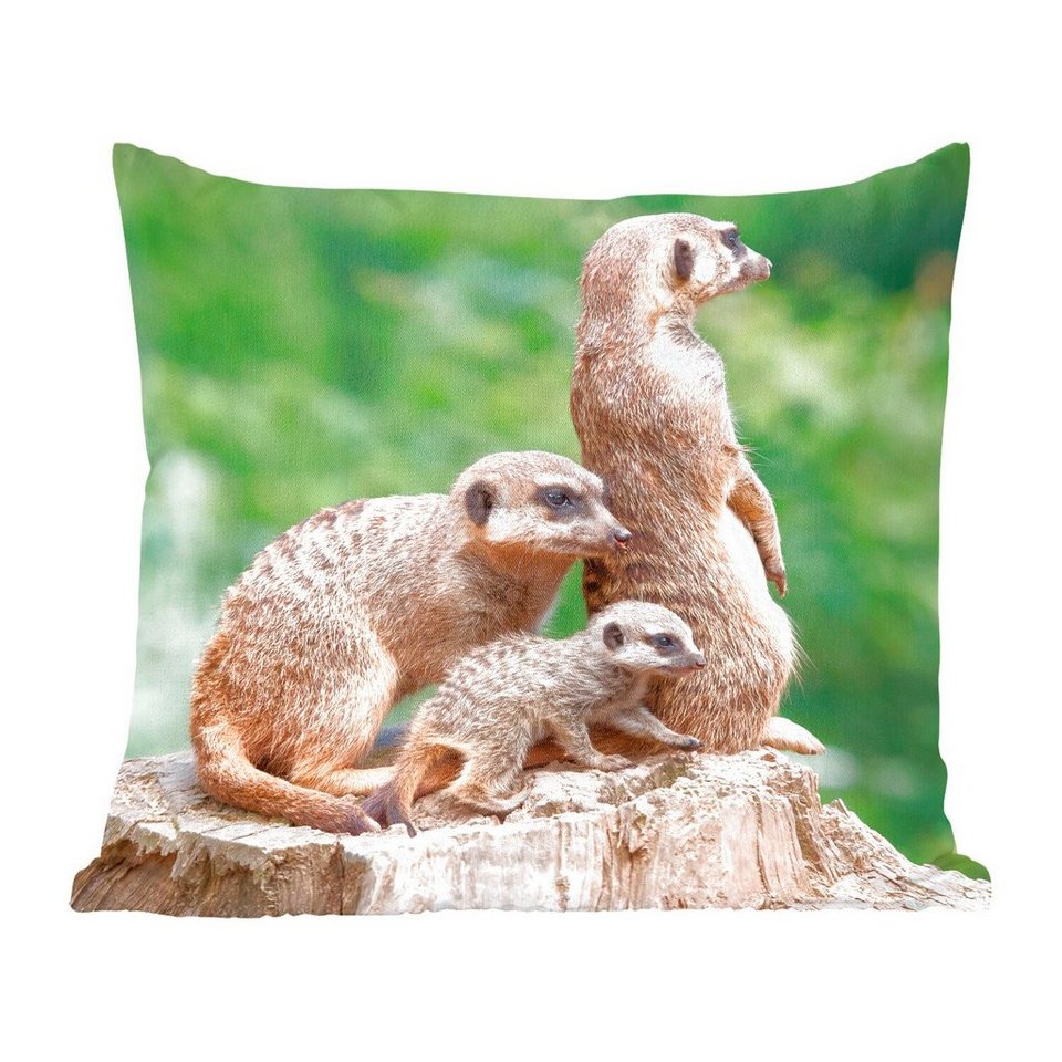 Muchowow Dekokissen Erdmännchen Baumstumpf Jungtier Zierkissen Mit