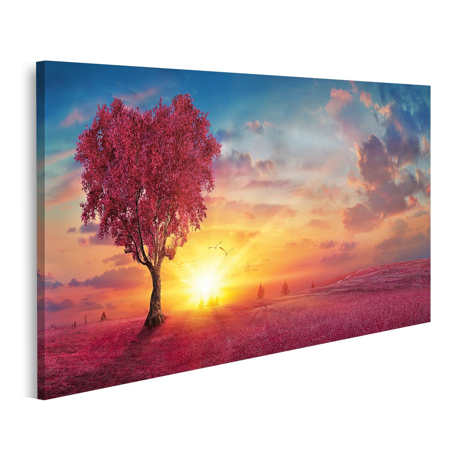 islandburner Leinwandbild Bild auf Leinwand Herz Baum Liebe Natur Rot Landschaft Sonnenuntergang ...