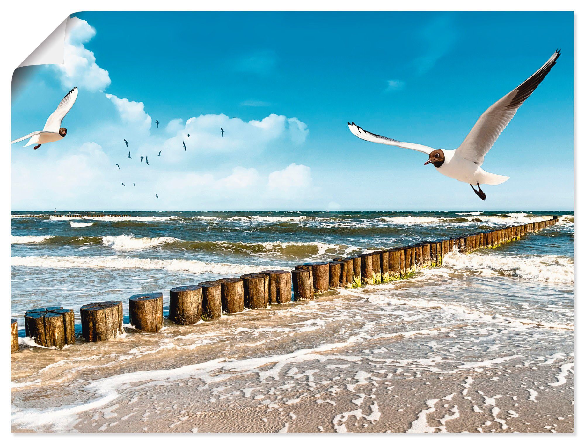 Artland Wandbild Ostsee Gewässer 1 Stück In Vielen Größen