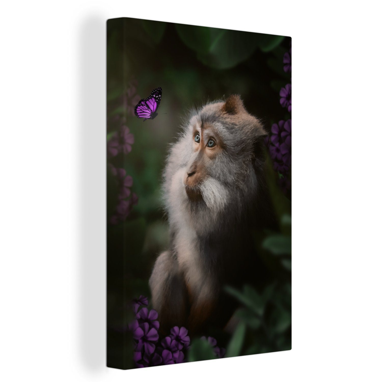 Onemillioncanvasses® Leinwandbild Affe Dschungel Schmetterling