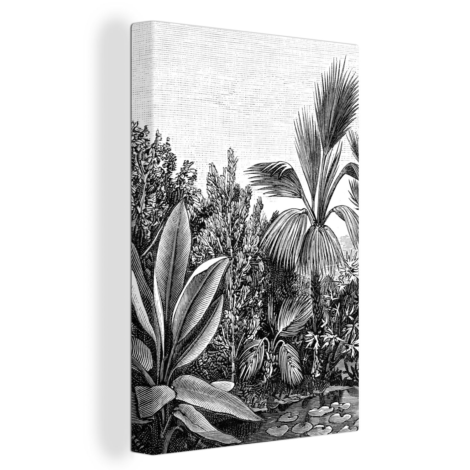 Onemillioncanvasses® Leinwandbild Pflanzen Natur Gestaltung