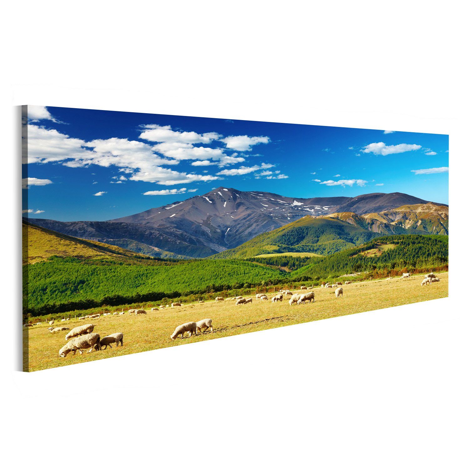 islandburner Leinwandbild »Bild auf Leinwand Berglandschaft Mit Grasenden Schafe Neuseeland ...