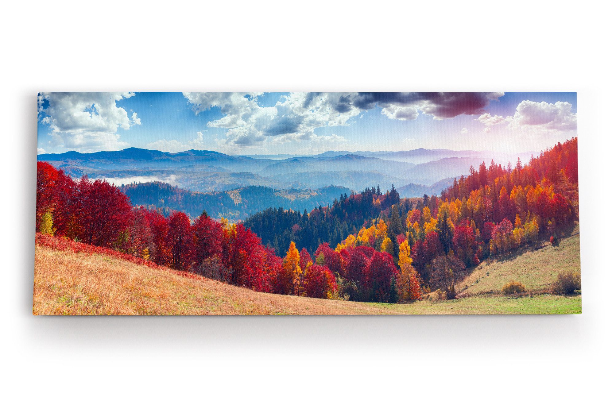 möbel-direkt.de Leinwandbild Berge Tannenwald Wald Wolken Natur Landschaft