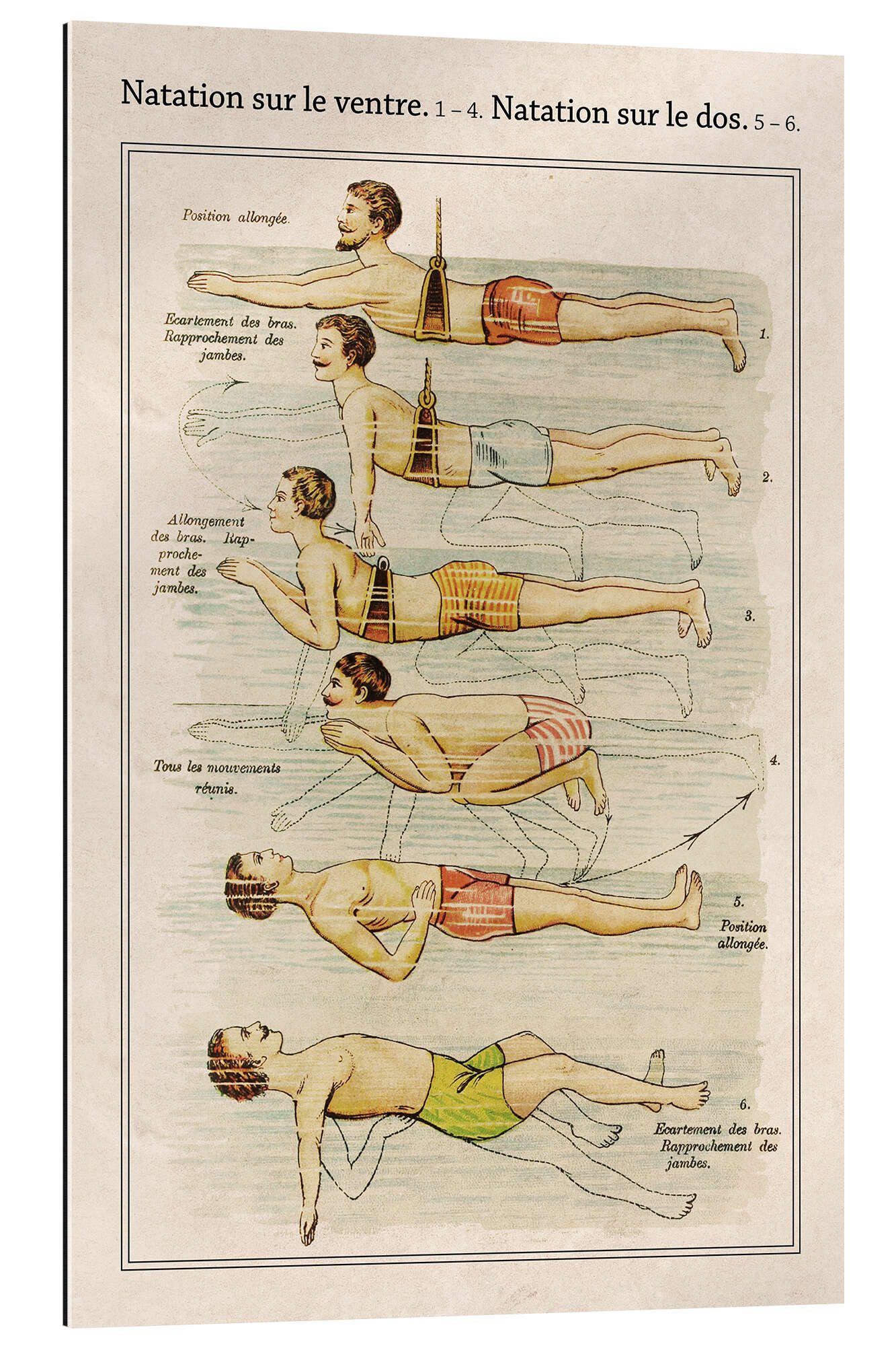 Posterlounge Xxl Wandbild Vintage Educational Collection Schwimmarten