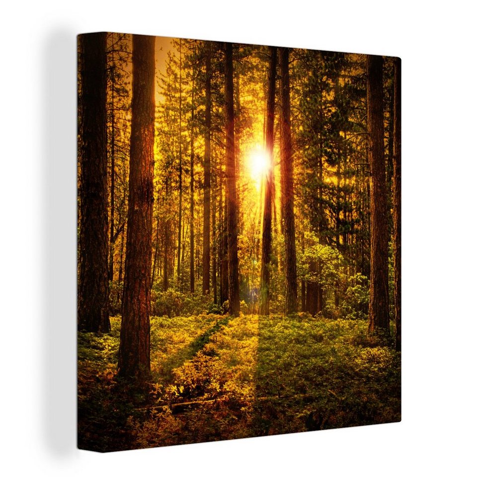 OneMillionCanvasses® Leinwandbild Wald - Sonne - Bäume - Natur ... OneMillionCanvasses® Leinwandbild Wald - Sonne - Bäume - Natur ...