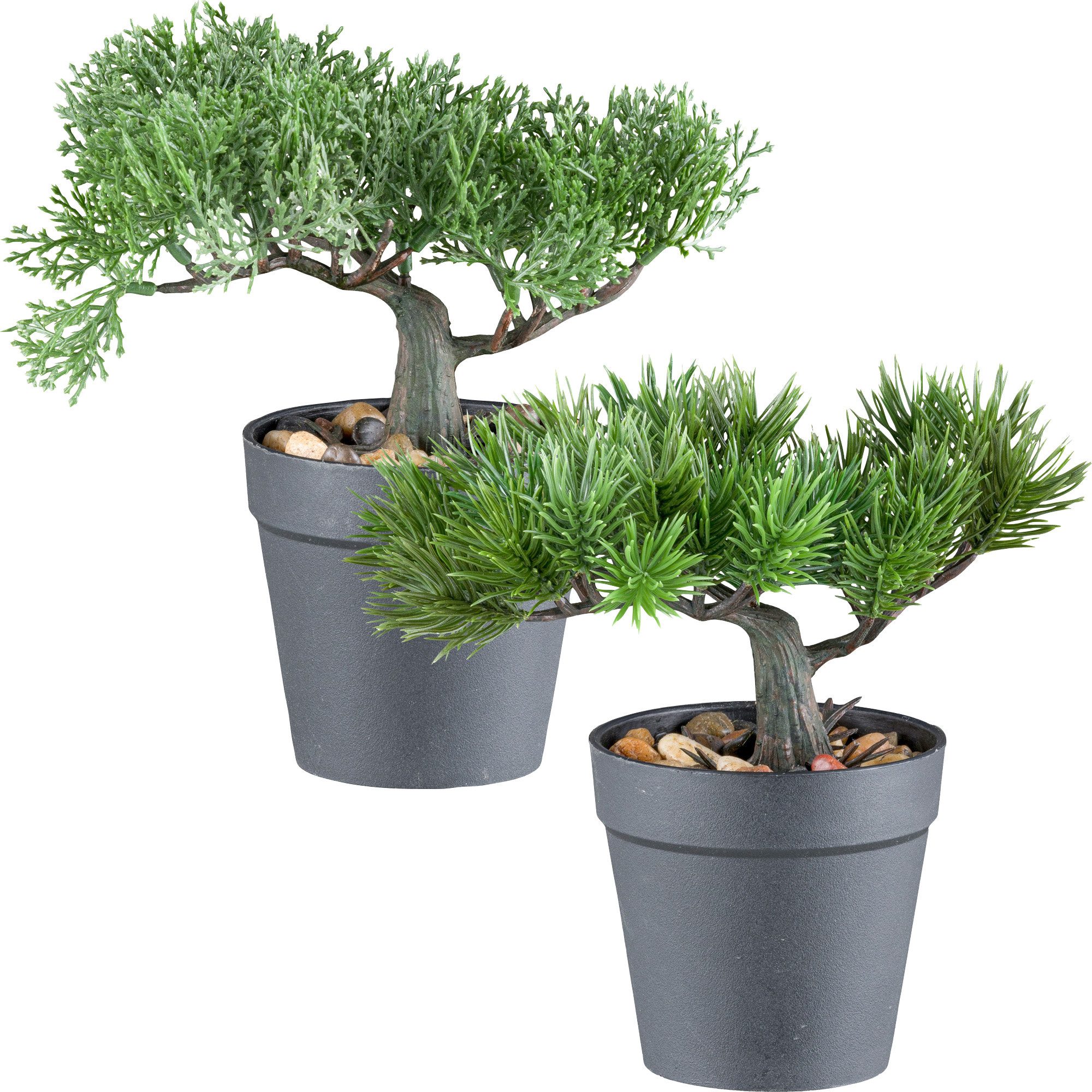 Kunstpflanze Kunstpflanze Bonsai Kieferzeder 2er Set Uni Künstliche