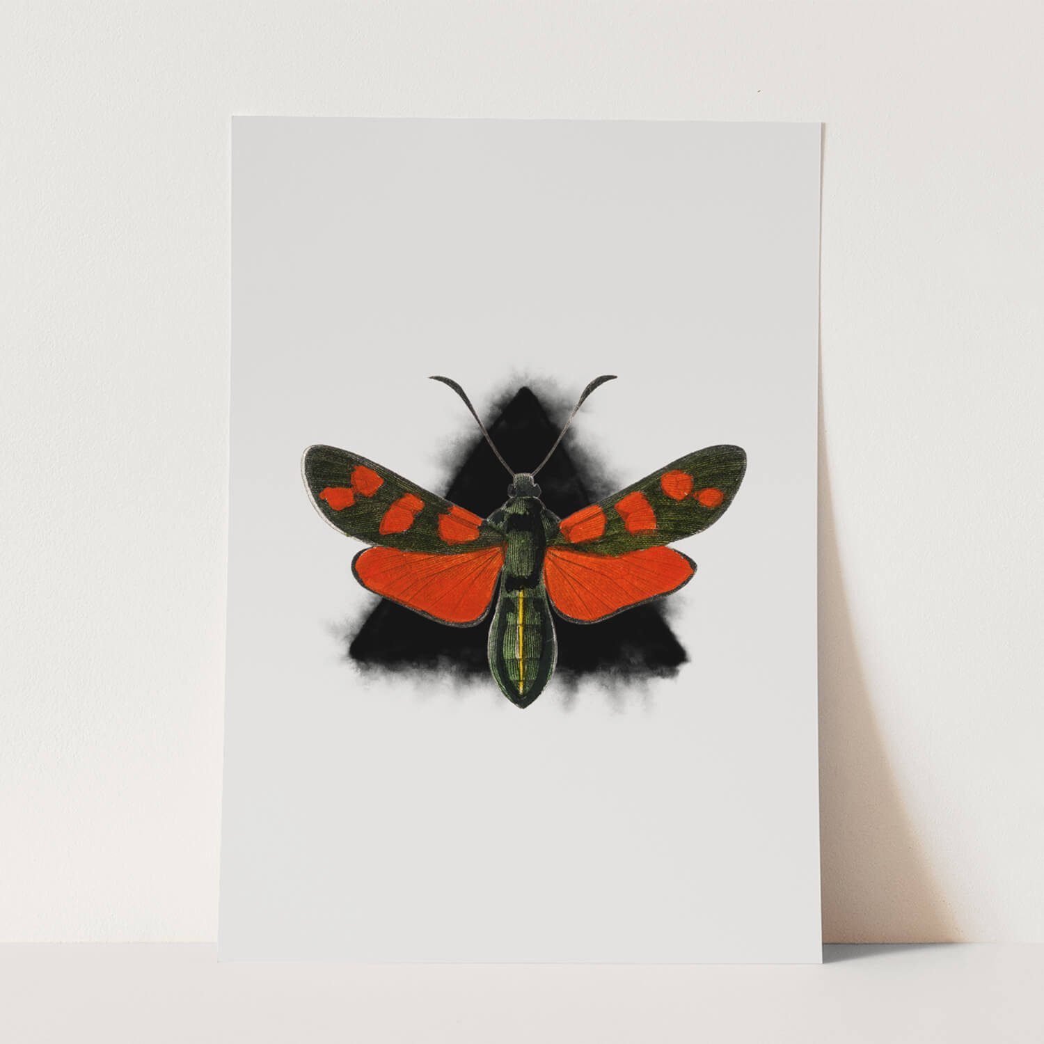 Sinus Art Wandbild Wandbild Roter Netzflügler Exklusives Design Schwarz