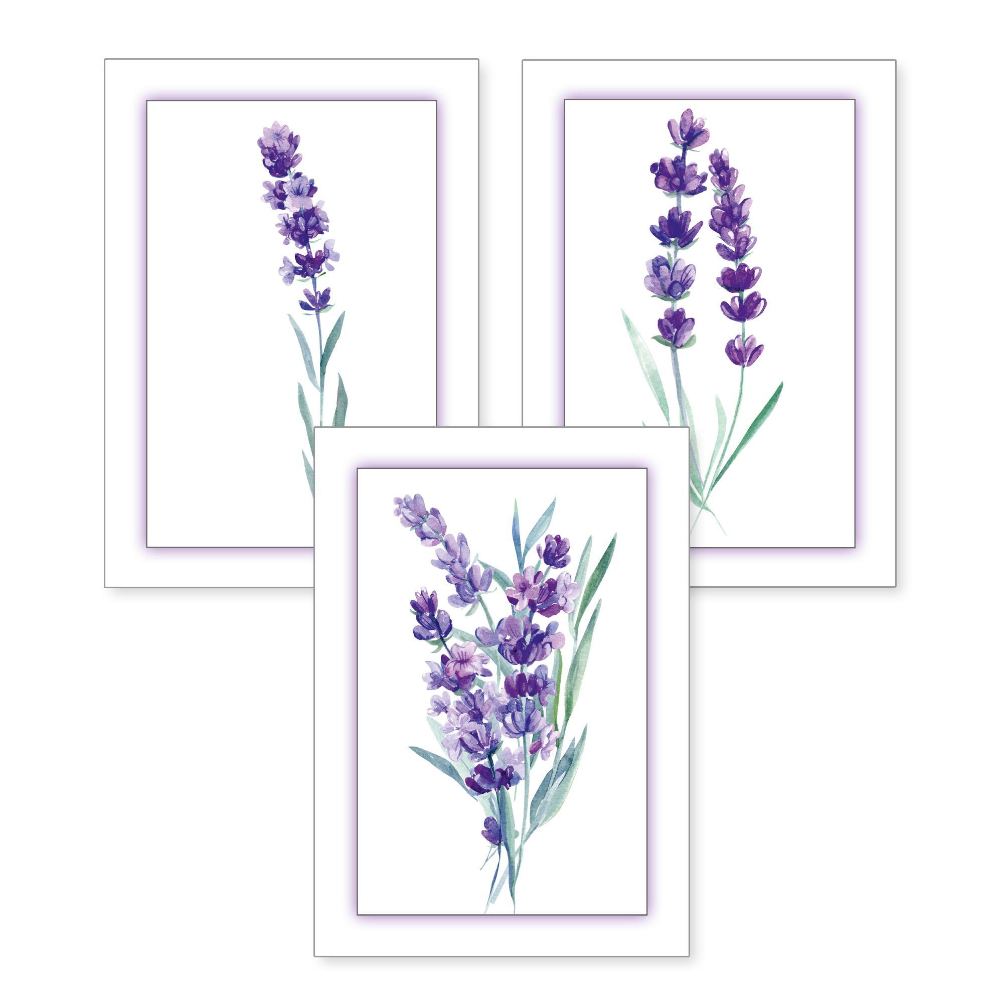 Kreative Feder Poster Lavendel Natur Pflanze Zeichnung Aquarell