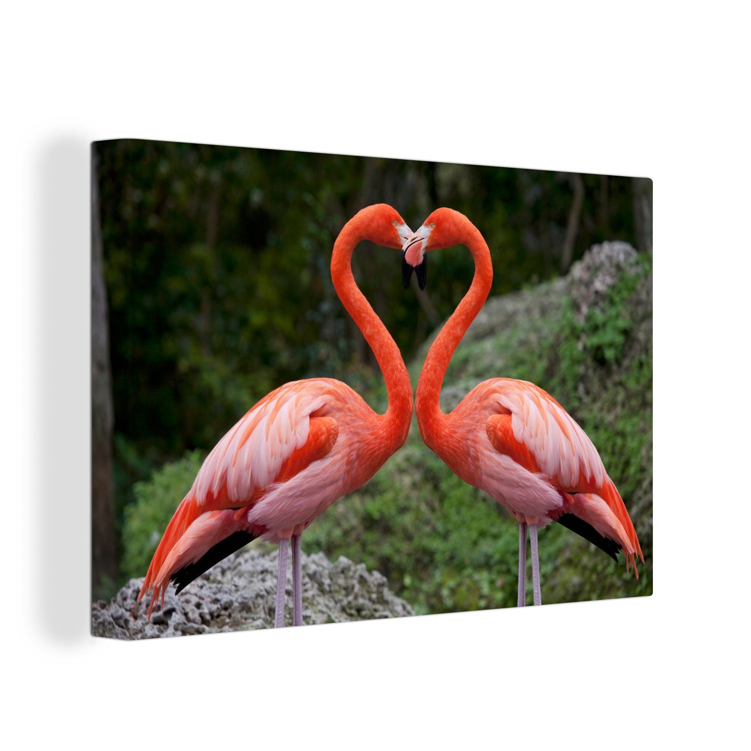 Onemillioncanvasses® Leinwandbild Zwei Flamingos Bilden Mit Ihren