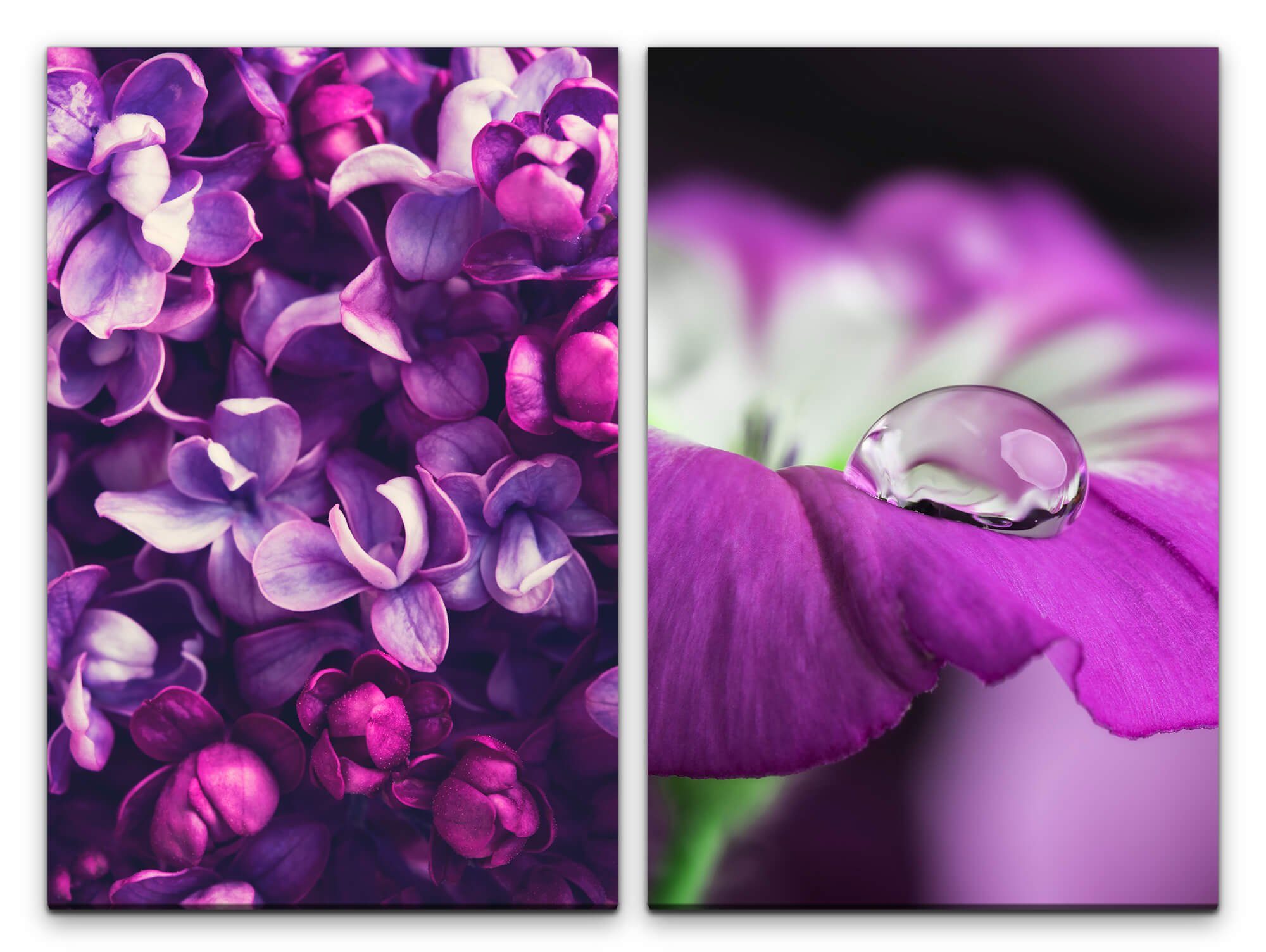 Sinus Art Leinwandbild 2 Bilder Je 60x90cm Blumen Blüten Wassertropfen