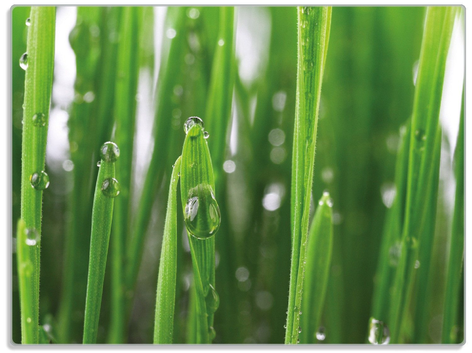 Wallario Schneidebrett Wassertropfen An Grashalmen Esg Sicherheitsglas