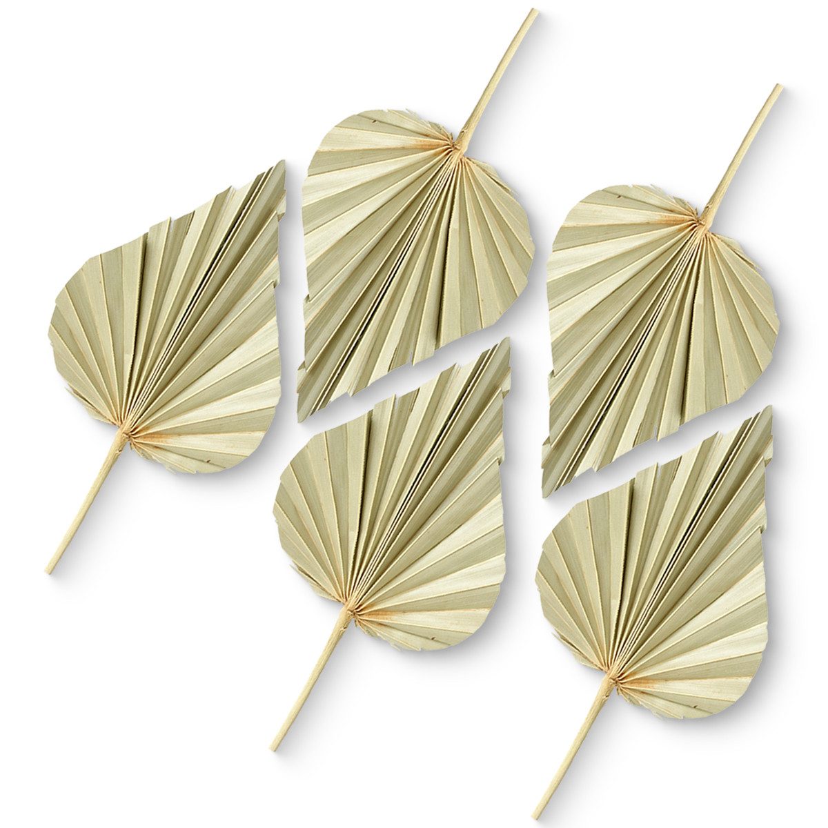 Kunstblume Palmspeere Bastelmaterial Für Gestecke Natur 5er Set 11 13