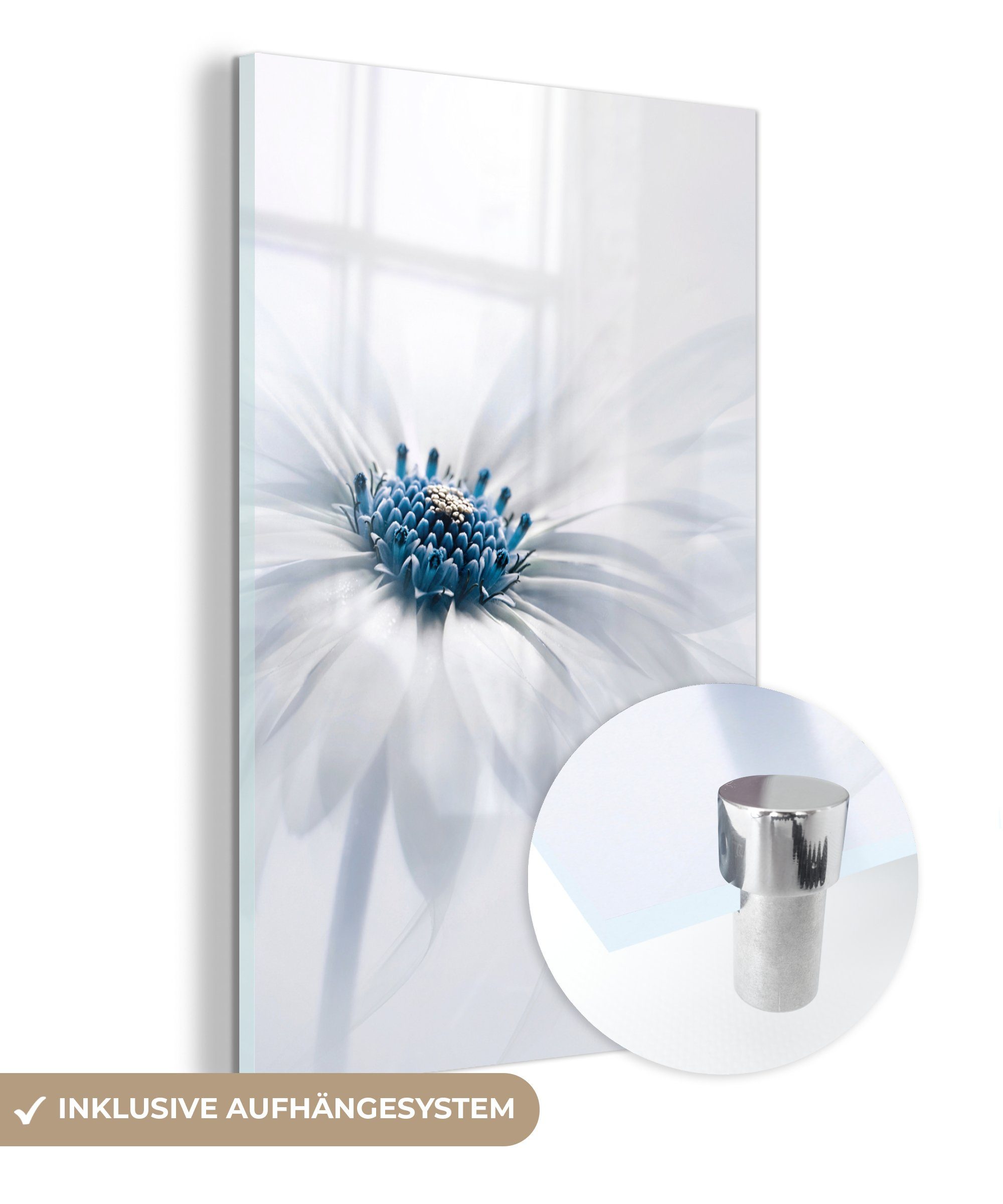 Muchowow Acrylglasbild Blume Stilleben Blau Design 1 St
