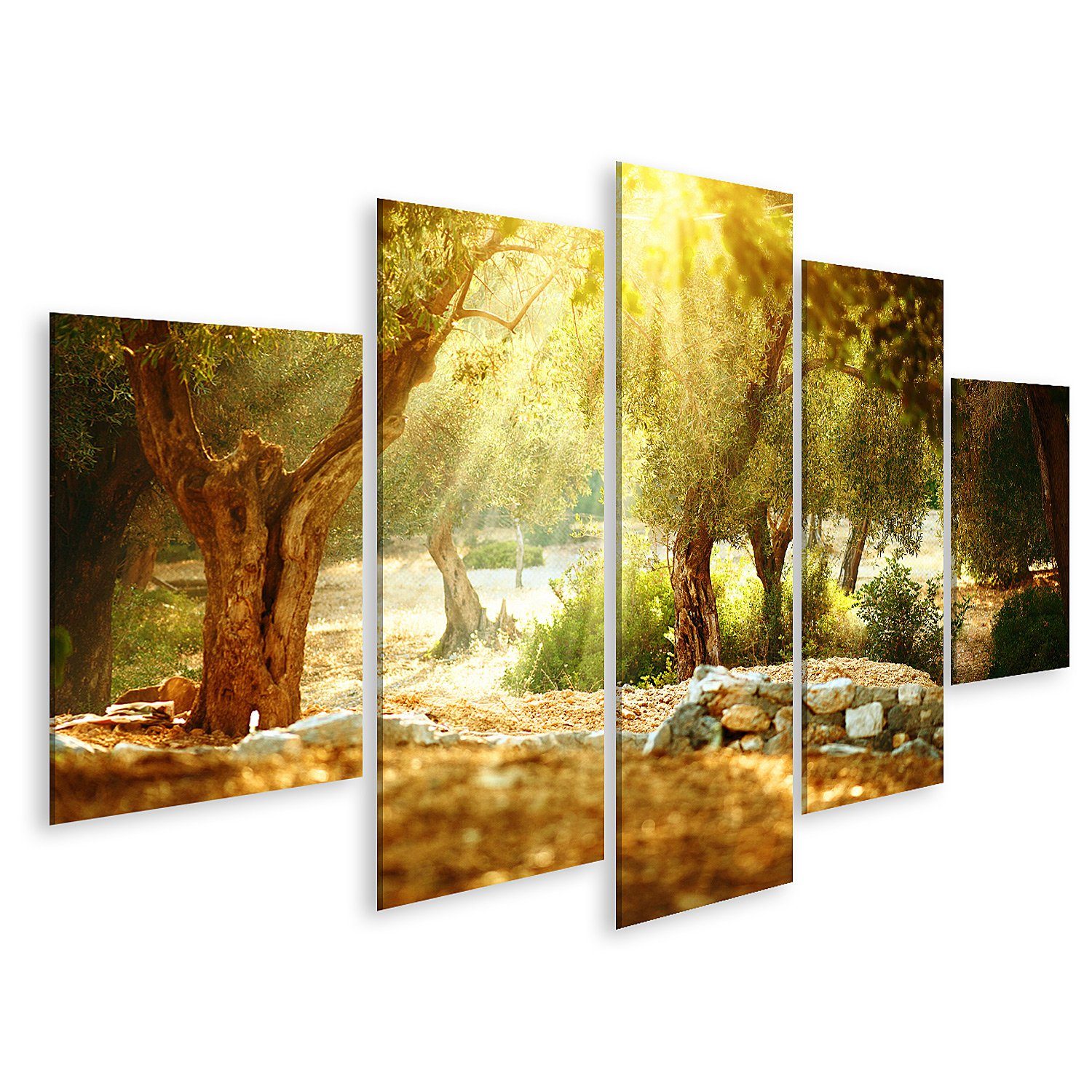 islandburner Leinwandbild »Bild auf Leinwand Olive Trees Garden Mediterraner Olivengarten mit ...