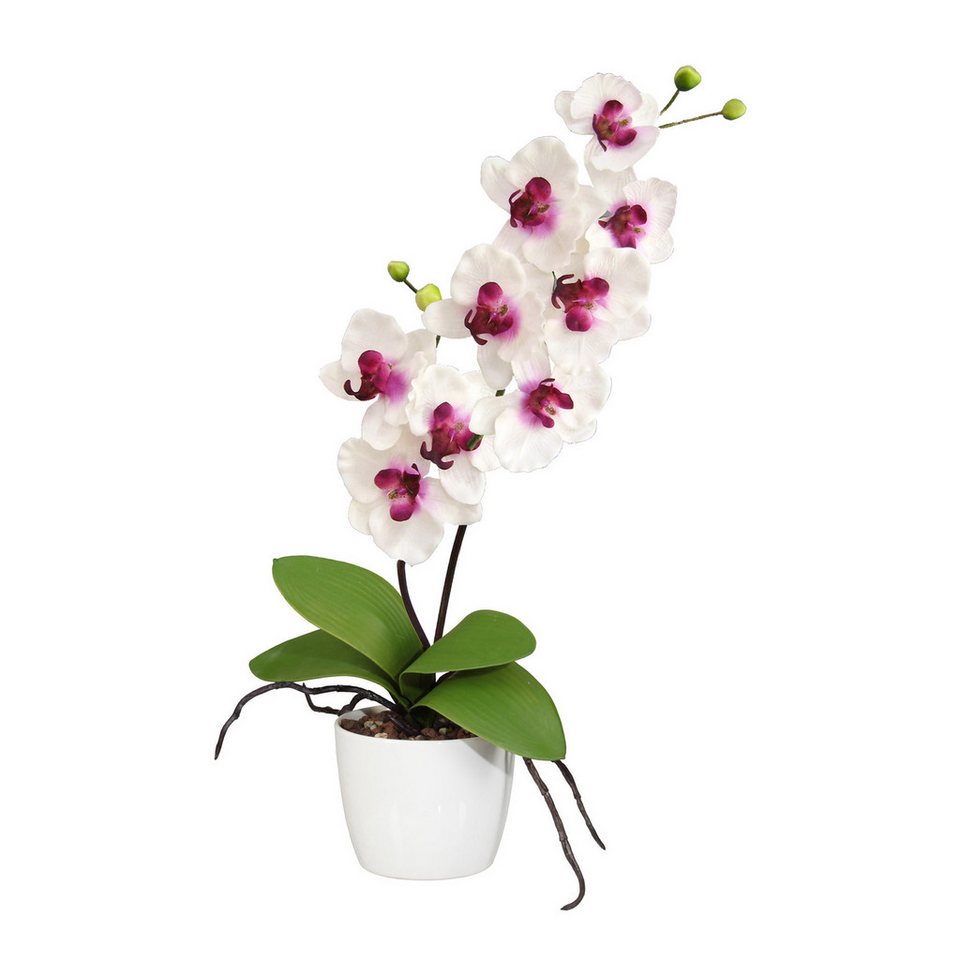 Kunstpflanze Orchidee Phalaenopsis 60cm 9 Blüten Weiß Lila Im