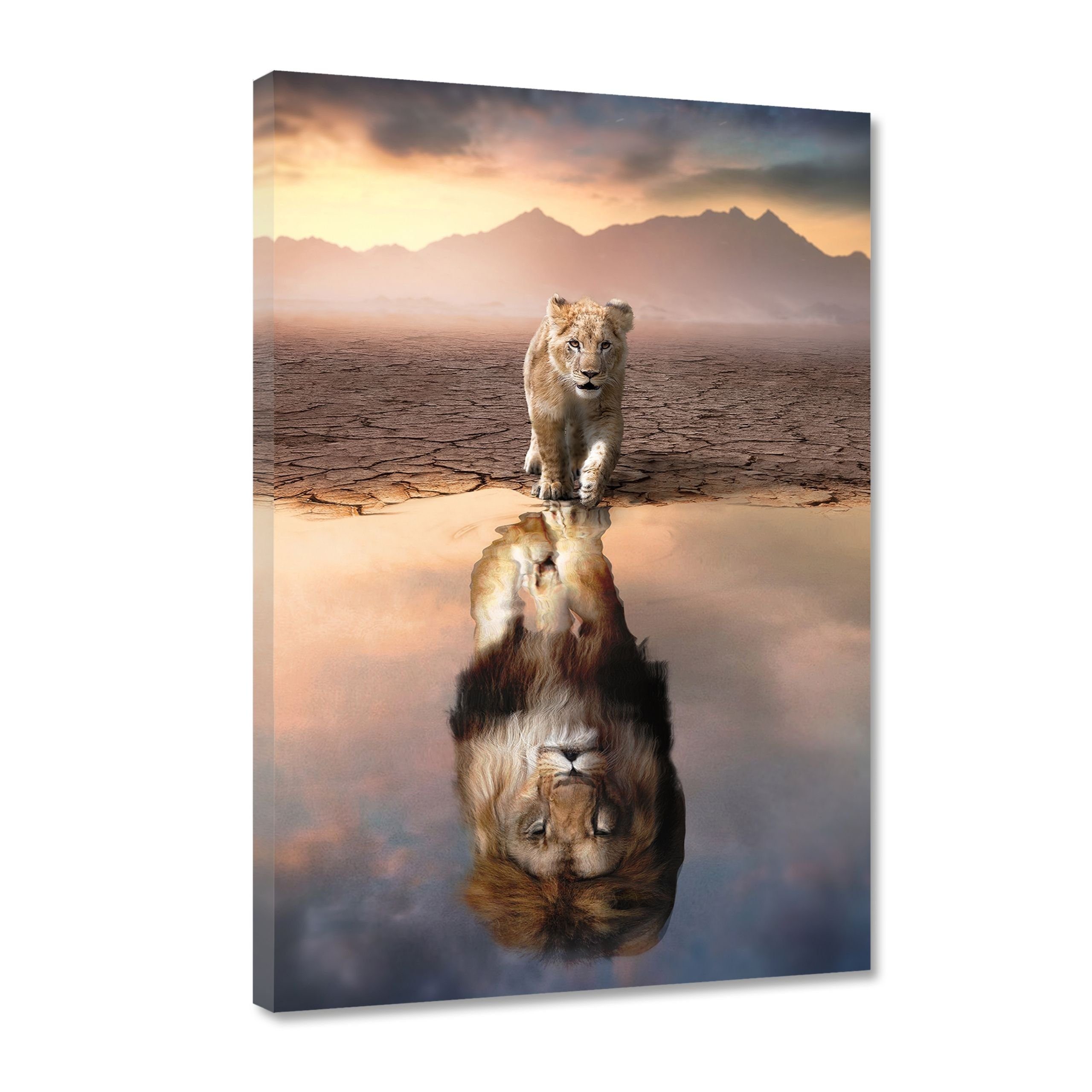 Hustling Sharks Leinwandbild Löwen Bild Als Xxl Leinwandbild Lion