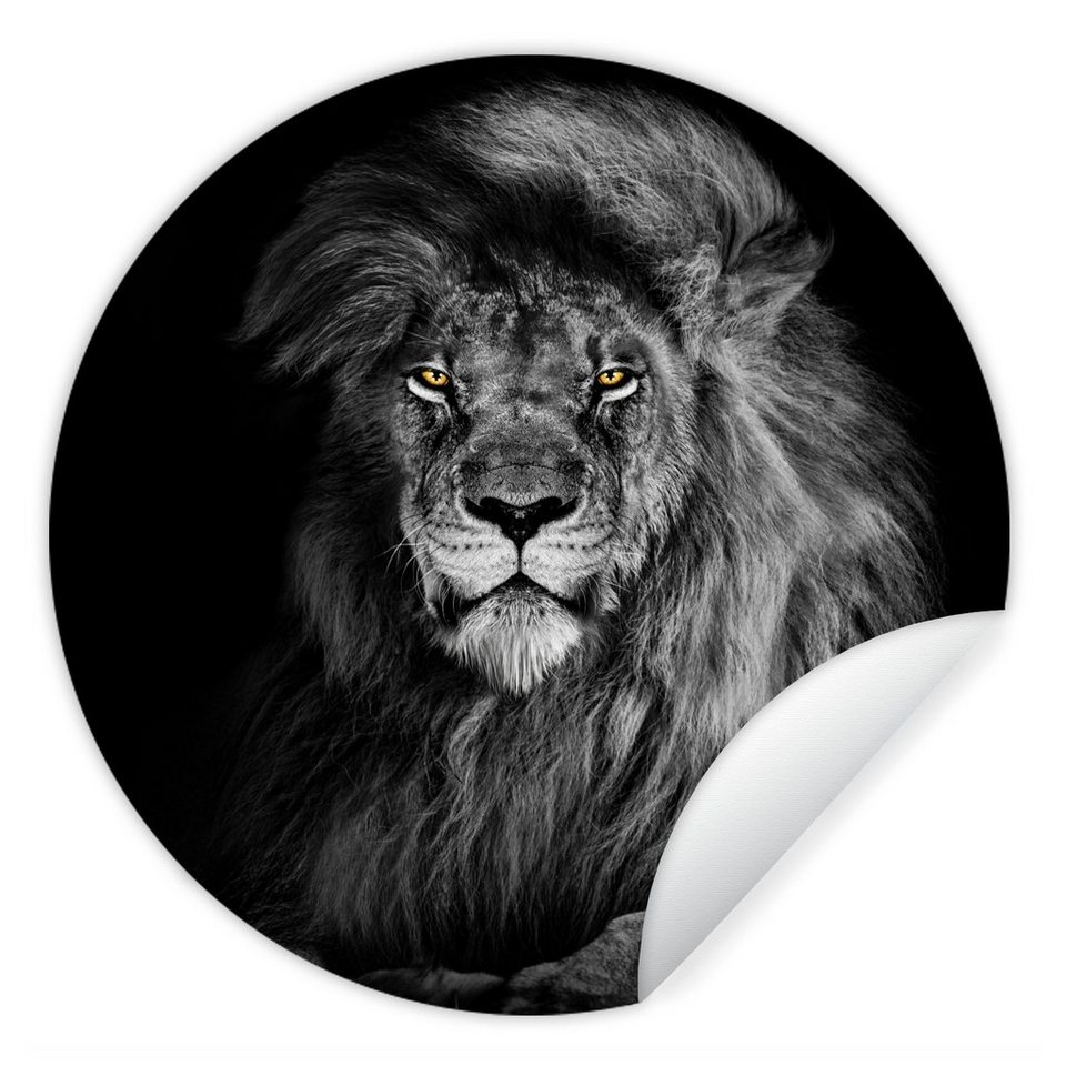 Muchowow Wandsticker Löwe Augen Orange Schwarz Und Weiß Tiere