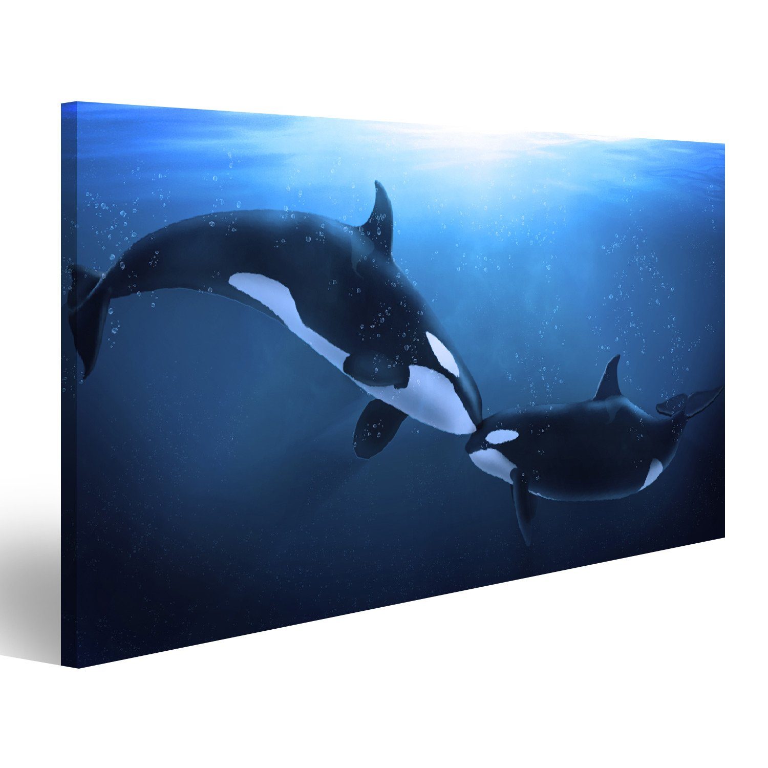 Islandburner Leinwandbild Bild Auf Leinwand Orcas Wale In Der Tiefsee
