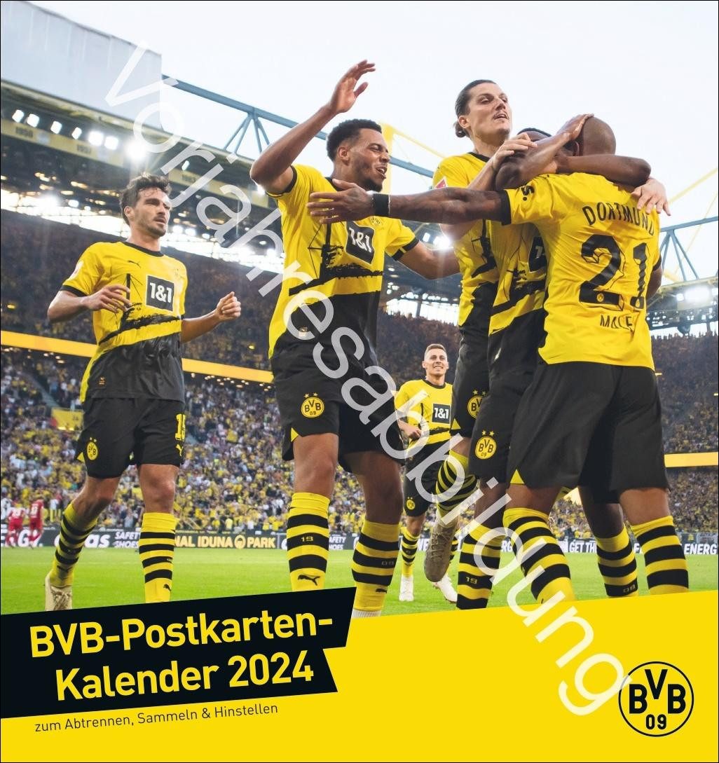 HEYE Wandkalender BVB Postkartenkalender 2025