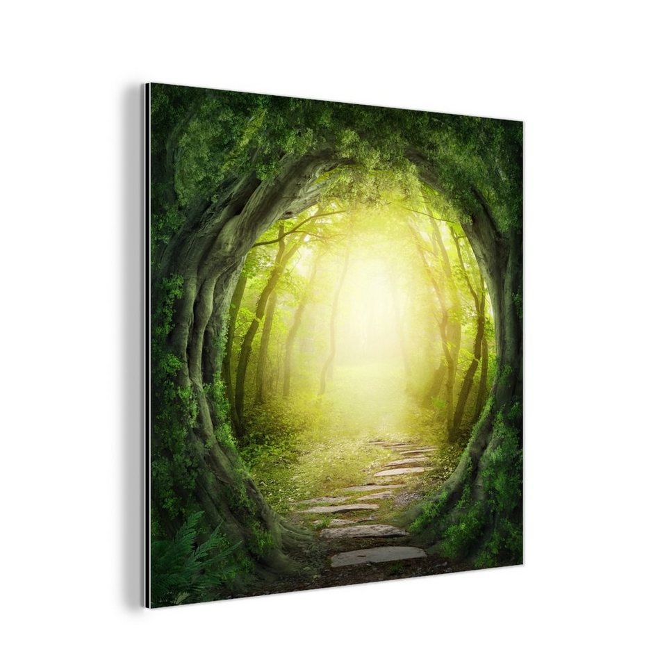 Muchowow Metallbild Bäume Wald Moos 1 St Alu Dibond Druck