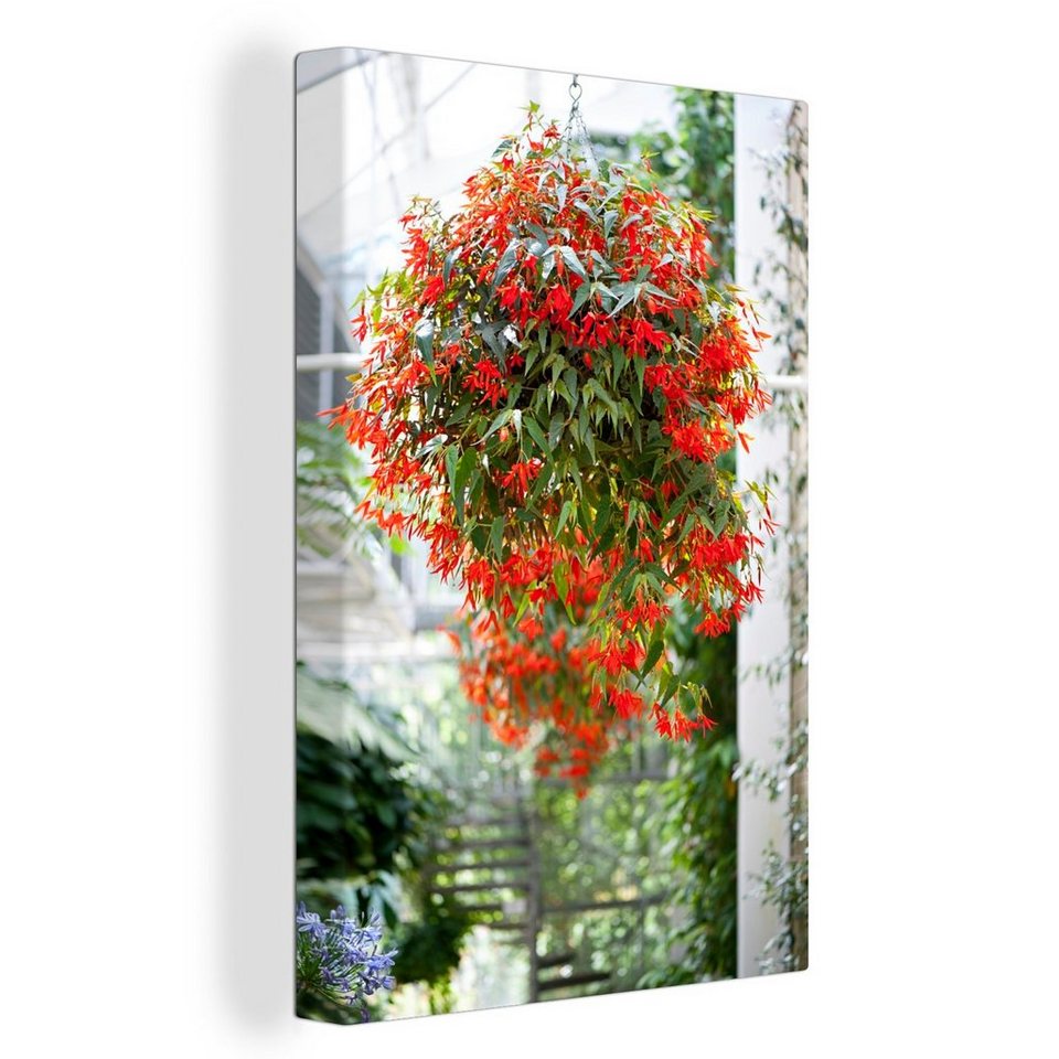 Onemillioncanvasses® Leinwandbild Hängepflanze Mit Roten Blüten 1 St