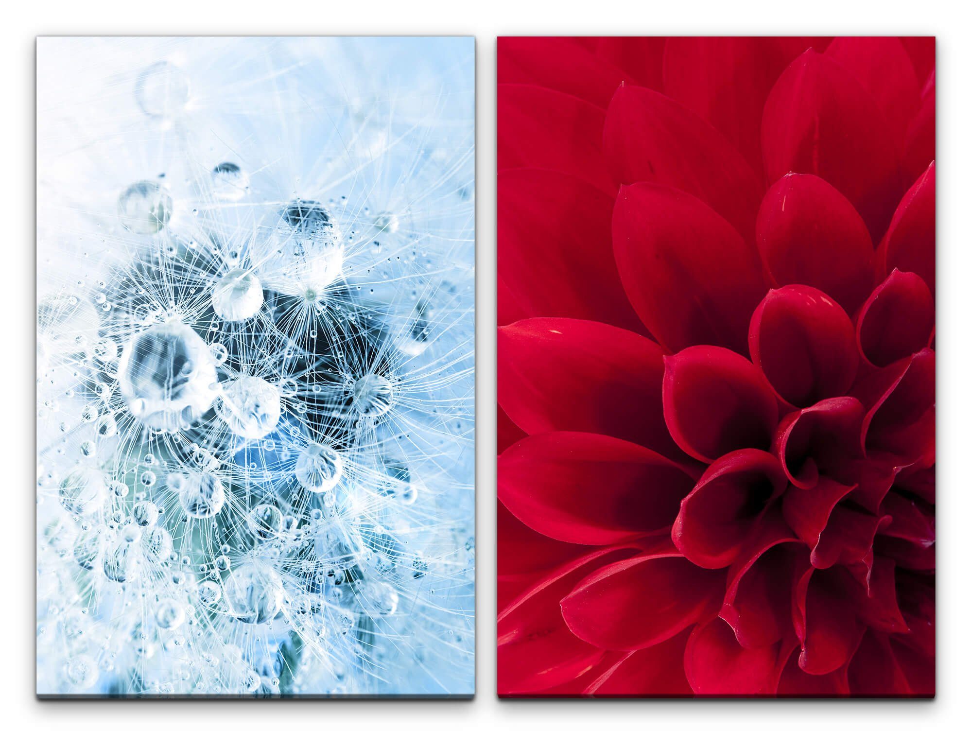 Sinus Art Leinwandbild 2 Bilder Je 60x90cm Dahlie Rote Blume