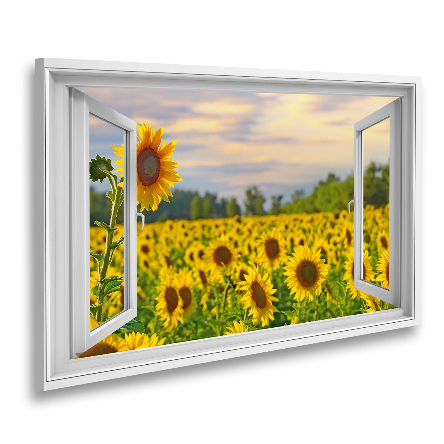 islandburner Leinwandbild Fensterblick Eine hohe Sonnenblume mit Sonnenblumenfeld und wunderschö