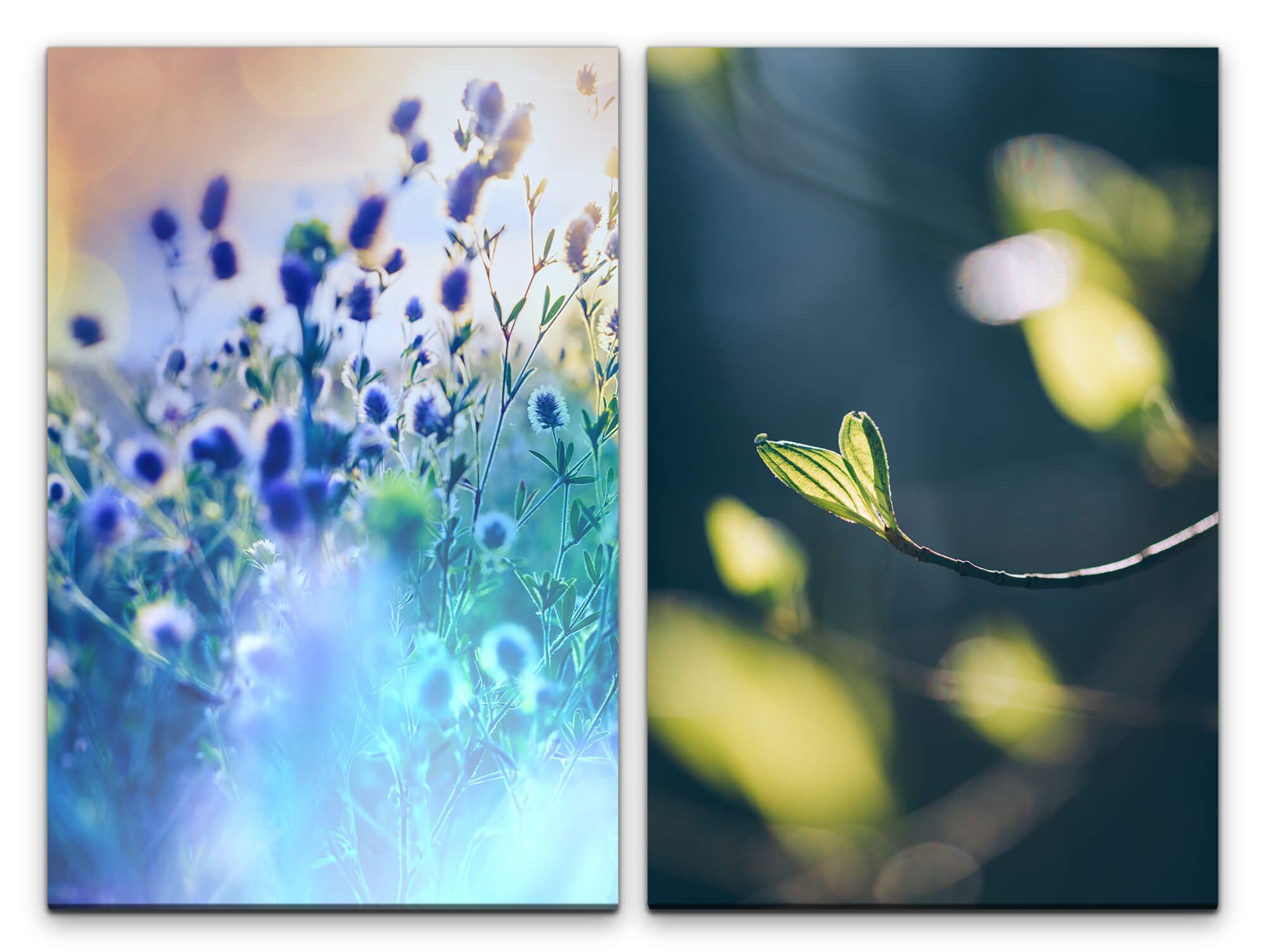 Sinus Art Leinwandbild 2 Bilder Je 60x90cm Sommer Blumen Junges Blatt