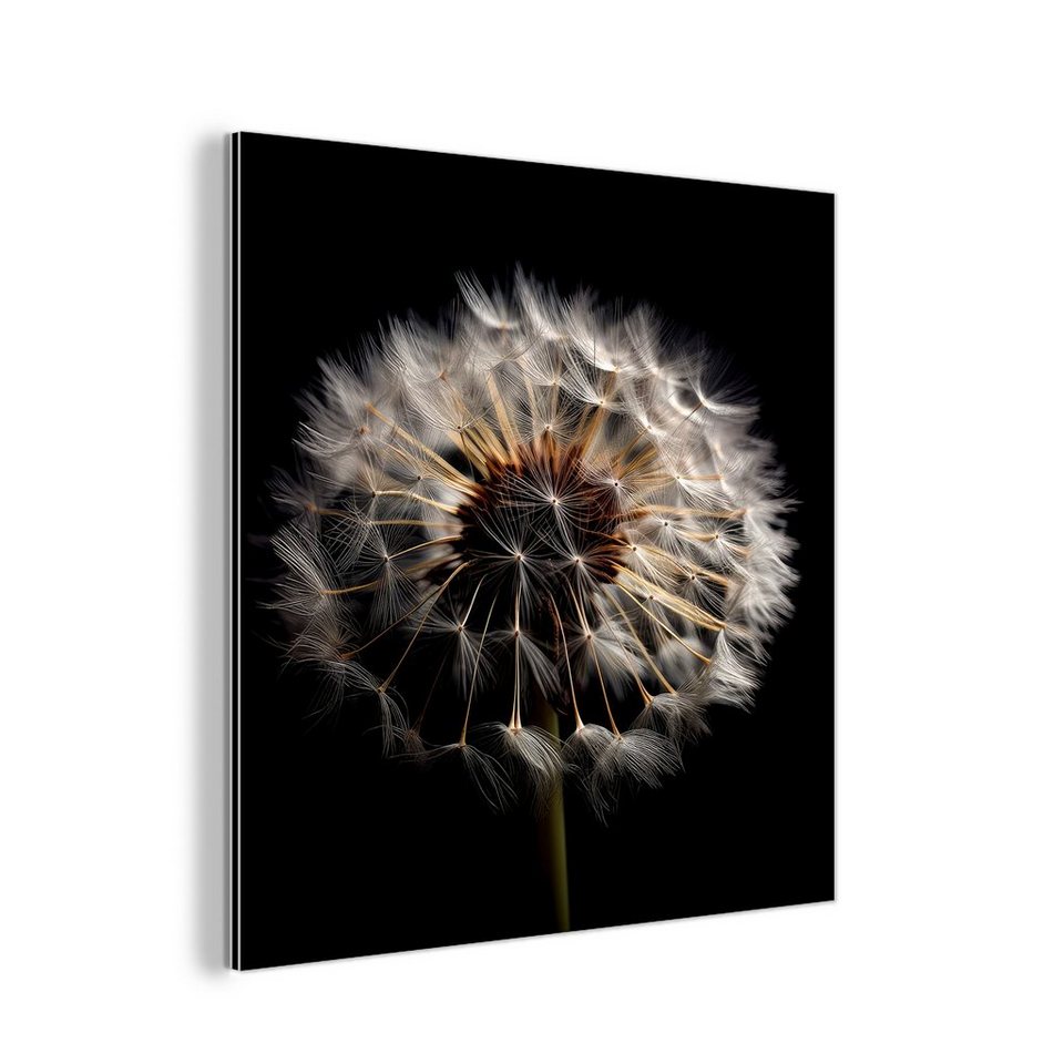 Muchowow Metallbild Blumen Natur Löwenzahn Schwarz Porträt 1