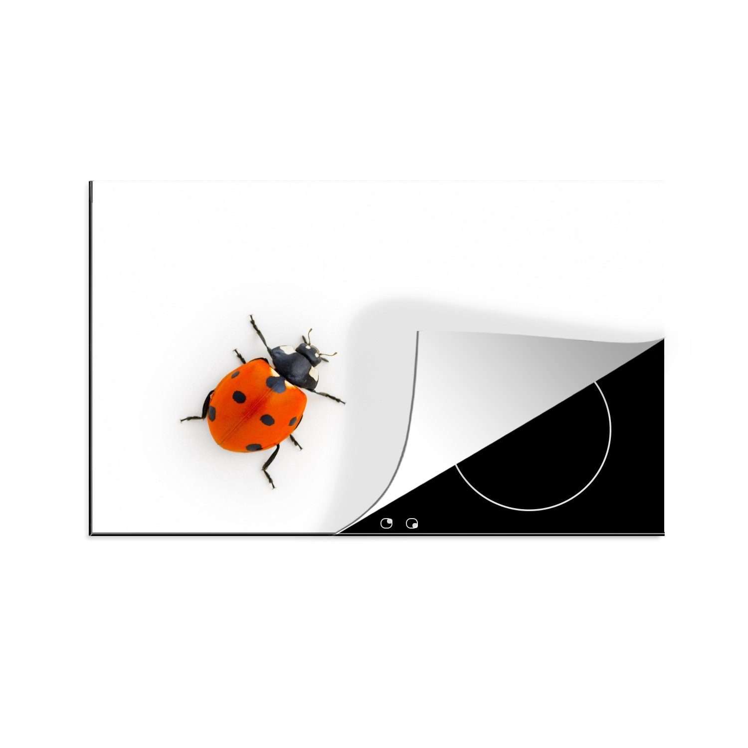 Muchowow Herd Abdeckplatte Kletternder Marienkäfer Vinyl 1 Tlg