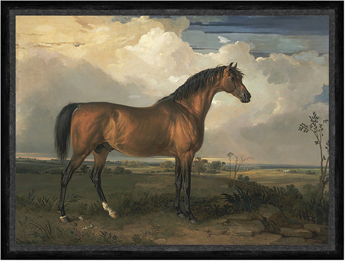 Kunstdruck Eagle, a Celebrated Stallion James Ward Pferde Weide Wolken Wiese Faks, (1 St)