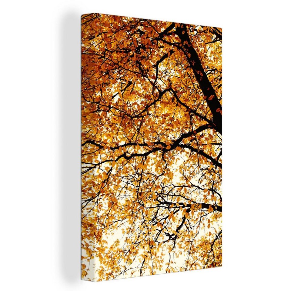 Onemillioncanvasses® Leinwandbild Baum Herbstblätter Jahreszeiten