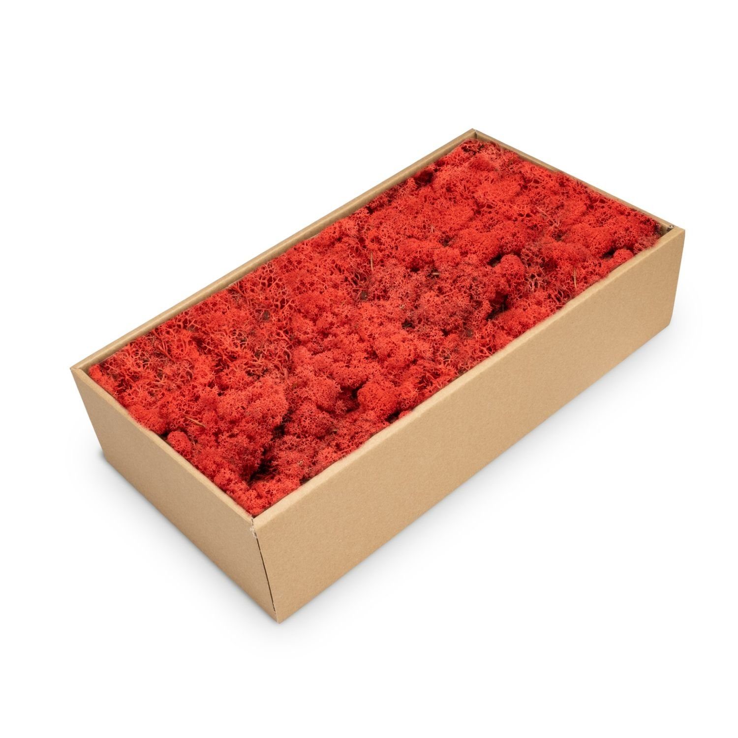 Nadeco Bastelnaturmaterial Islandmoos Rot Konserviert Verpackt Im