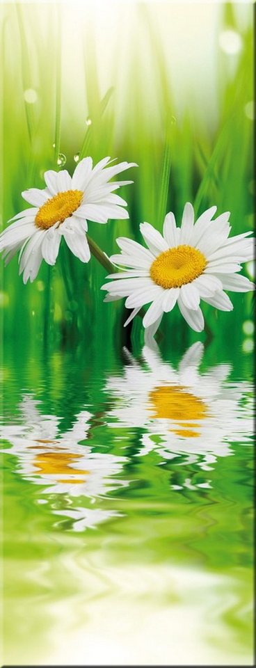 artissimo Glasbild Glasbild 30x80cm Bild aus Glas Wohnzimmer Blume ... artissimo Glasbild Glasbild 30x80cm Bild aus Glas Wohnzimmer Blume ...