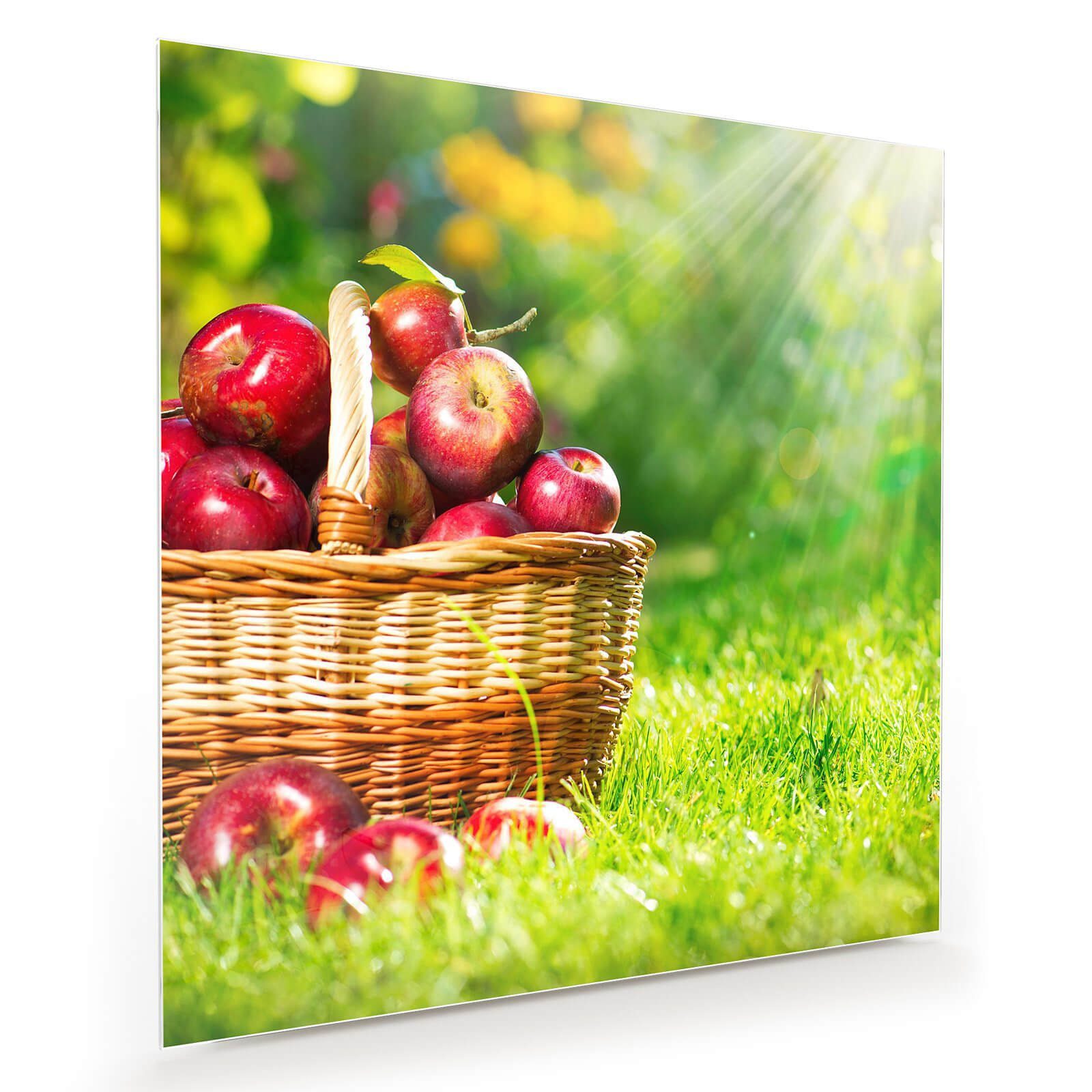 Primedeco Glasbild Wandbild Quadratisch Äpfel Auf Wiese Mit