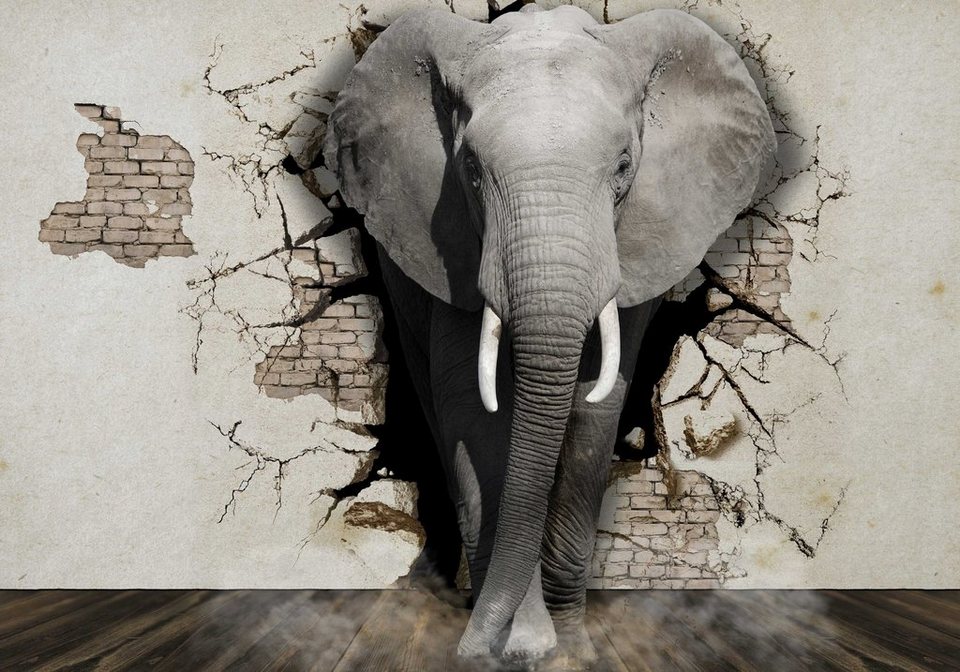 wandmotiv24 Fototapete Elefant aus Wand, glatt, Wandtapete, Motivtapete ... wandmotiv24 Fototapete Elefant aus Wand, glatt, Wandtapete, Motivtapete ...