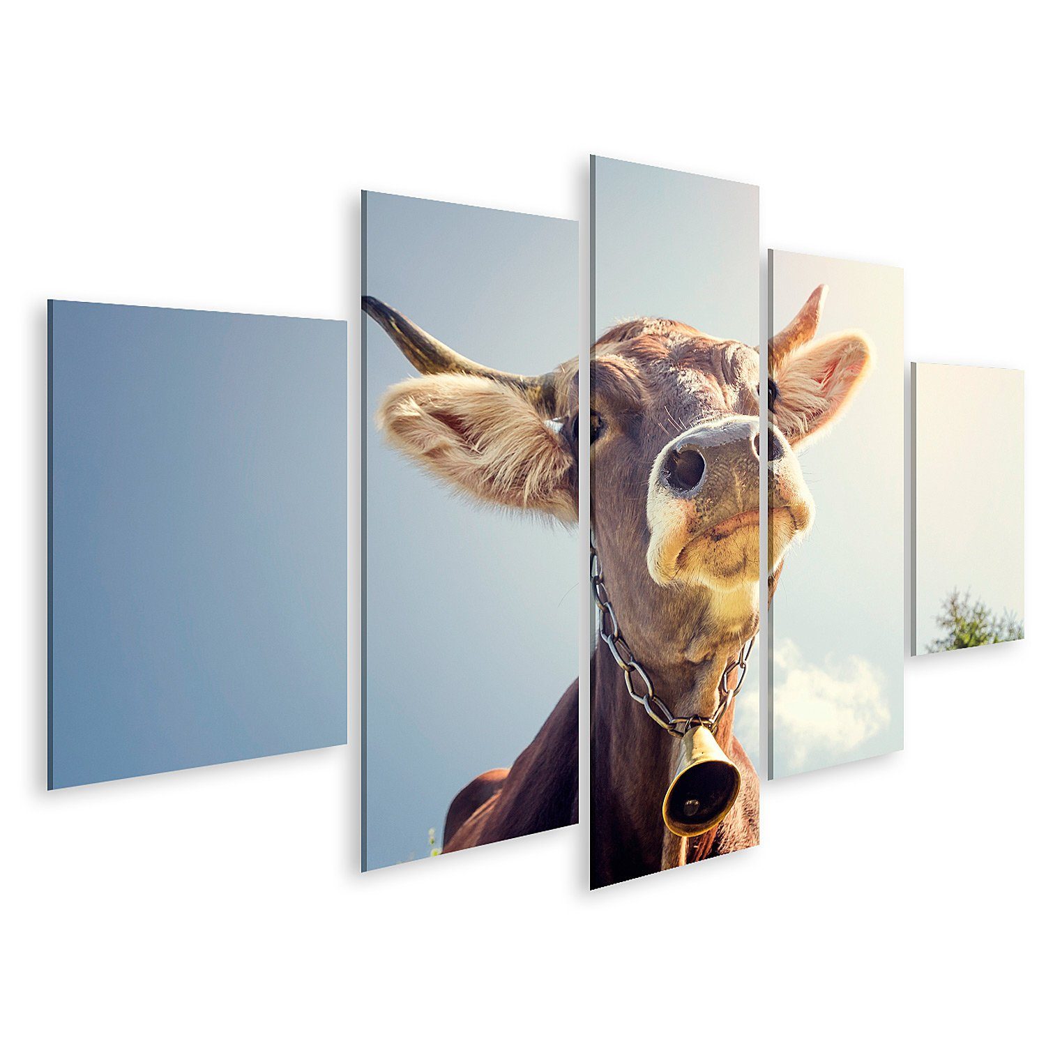 islandburner Leinwandbild Bild auf Leinwand Porträt einer Kuh mit einer Glocke Wandbild Poster K