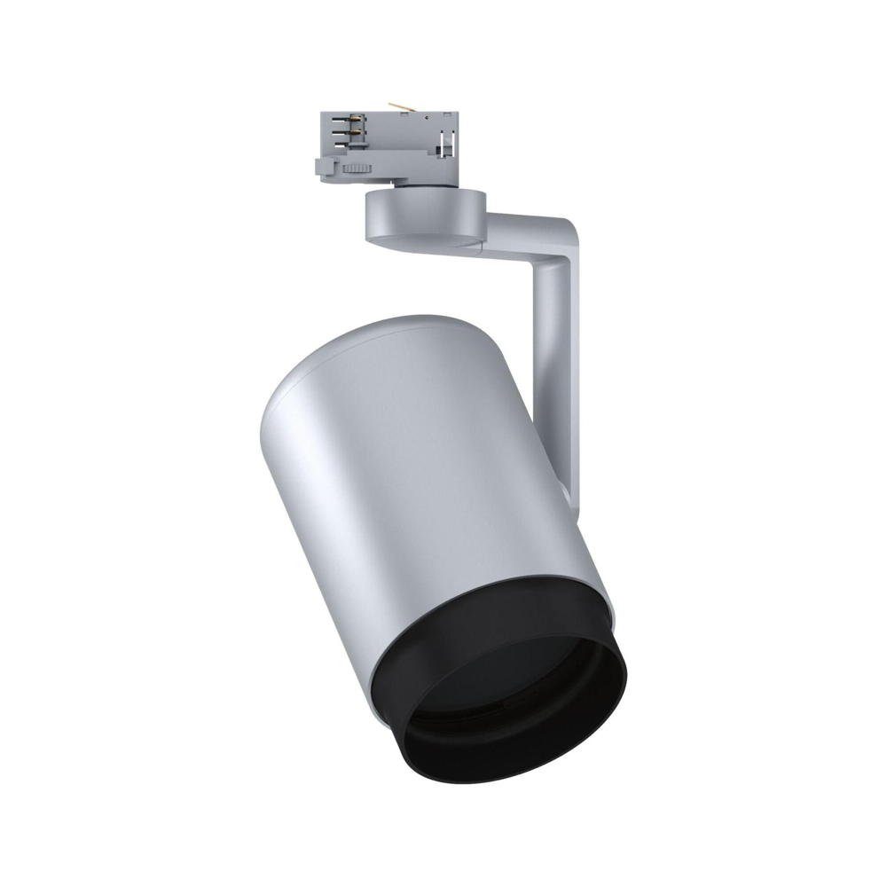Paulmann Stromschienensystem Prorail3 Spot Asthene In Chrom E27