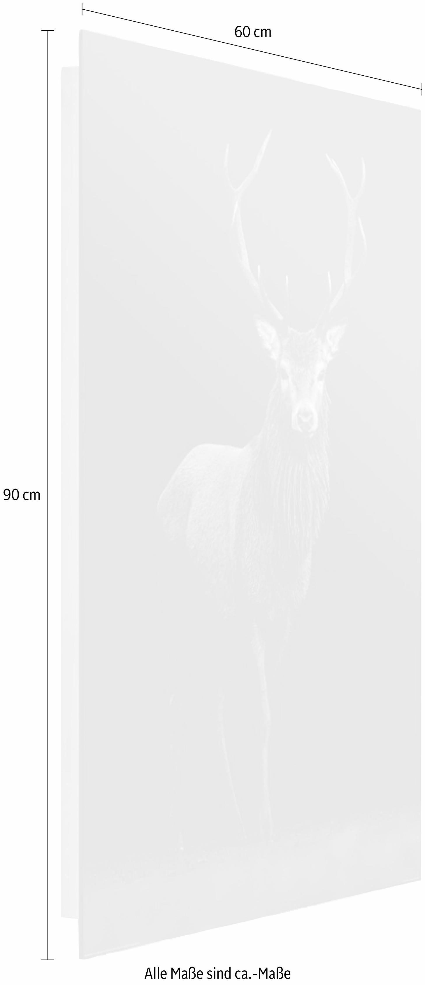 Home affaire Deco-Panel Hirsch, 60/90 cm