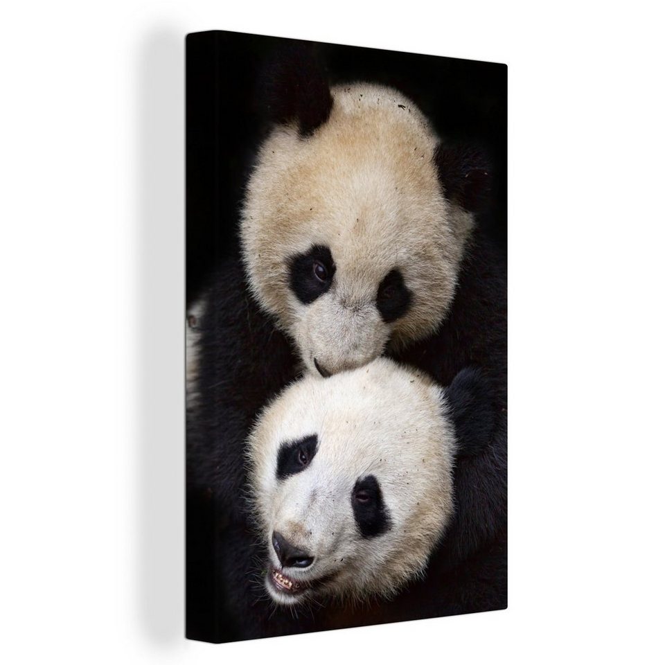 Onemillioncanvasses® Leinwandbild Panda Tierfreunde Schwarz 1 St