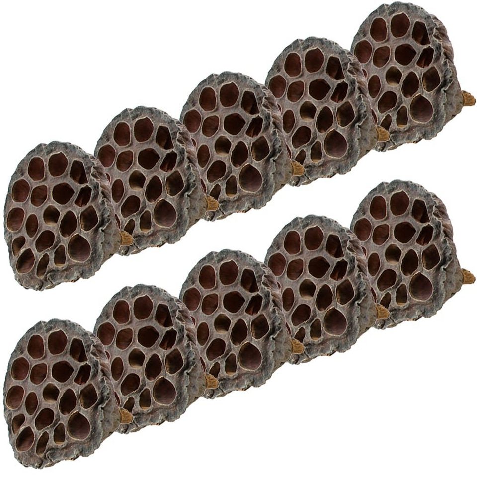 Kunstblume Lotus Naturdeko Für Gestecke Basteln Natur 10er Set 6 8 Cm