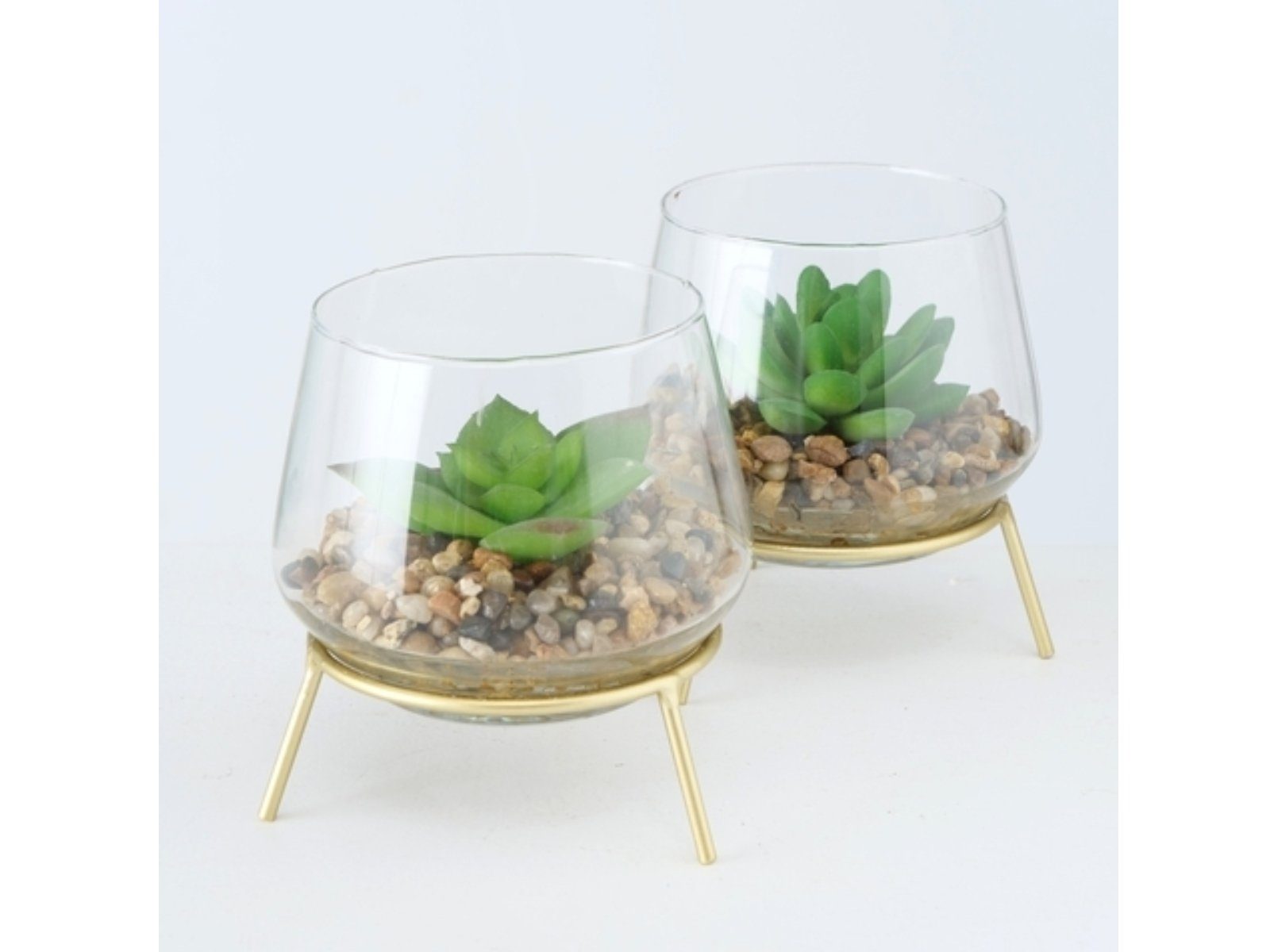 Kunstpflanze Candio Kunstpflanze Agave Sortiert 11 Cm 1 Stück Boltze
