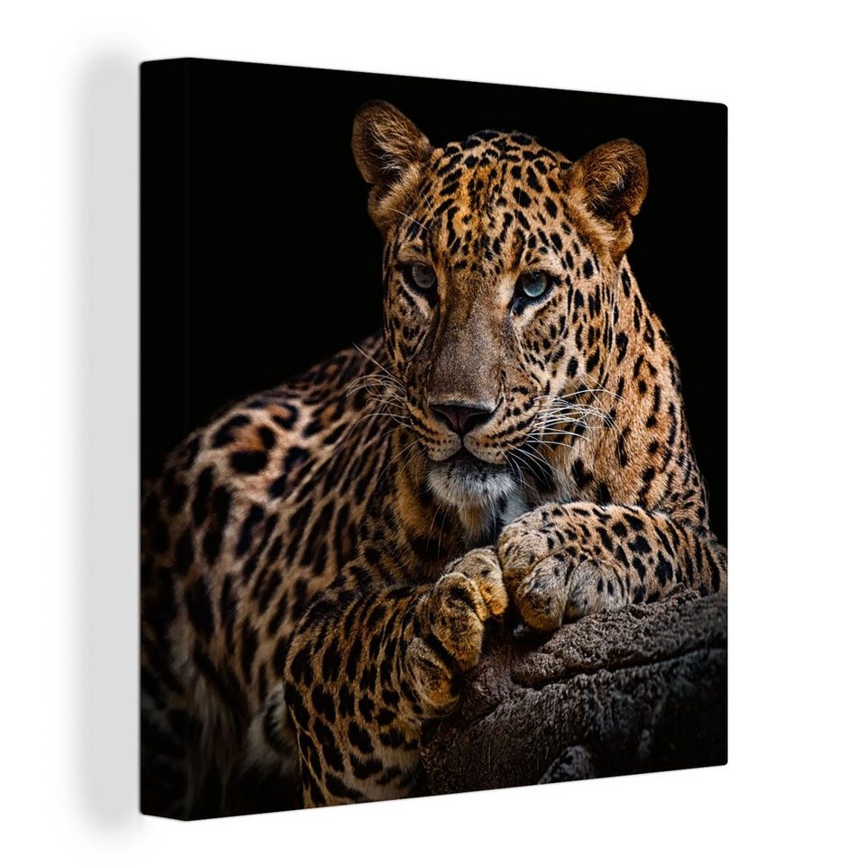 Onemillioncanvasses® Leinwandbild Wildtiere Panther Porträt