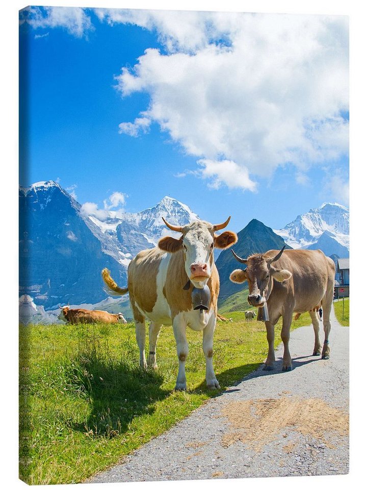 Posterlounge Leinwandbild Editors Choice Kühe Auf Der Alm
