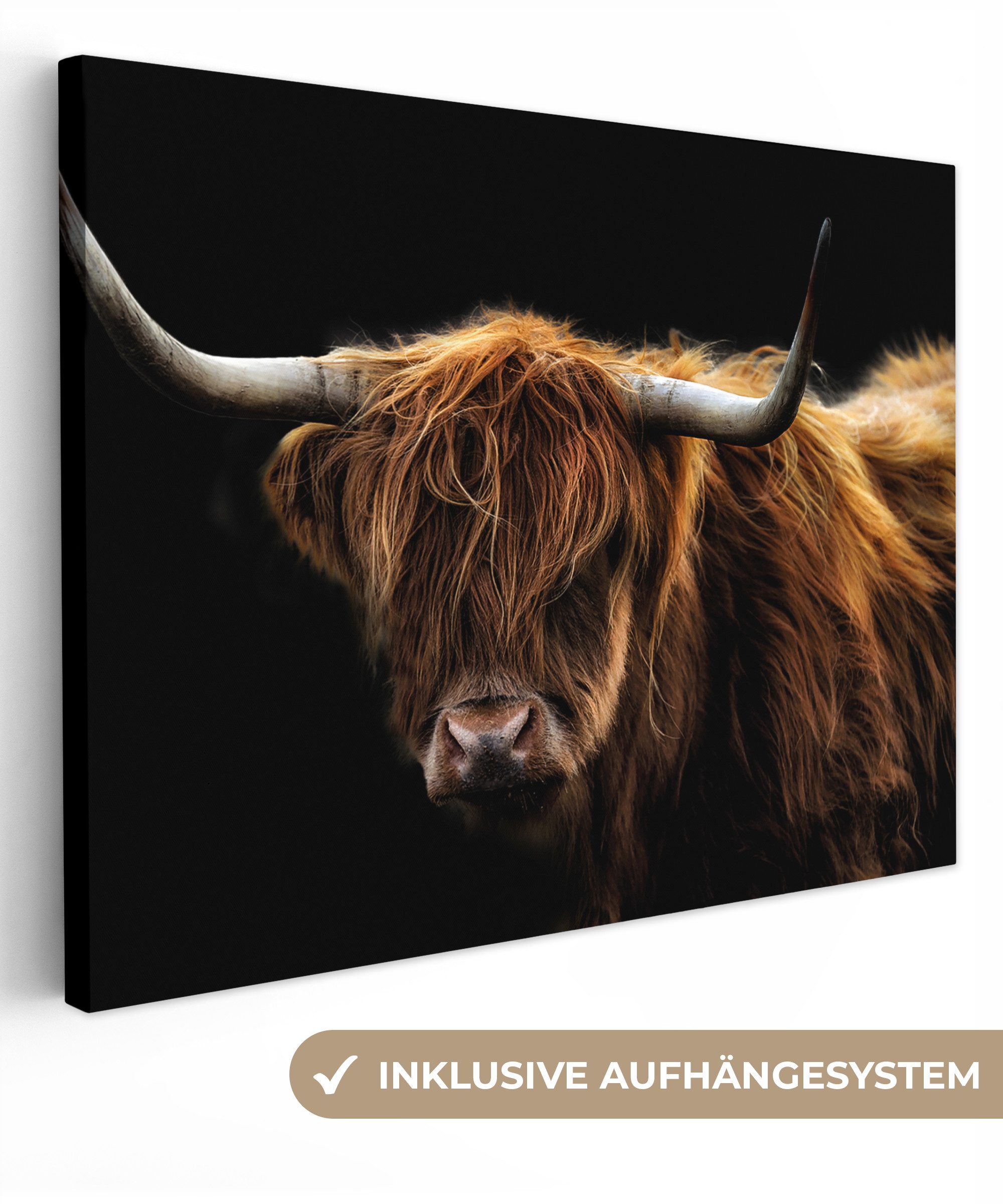 Onemillioncanvasses® Leinwandbild Schottischer Highlander Hörner